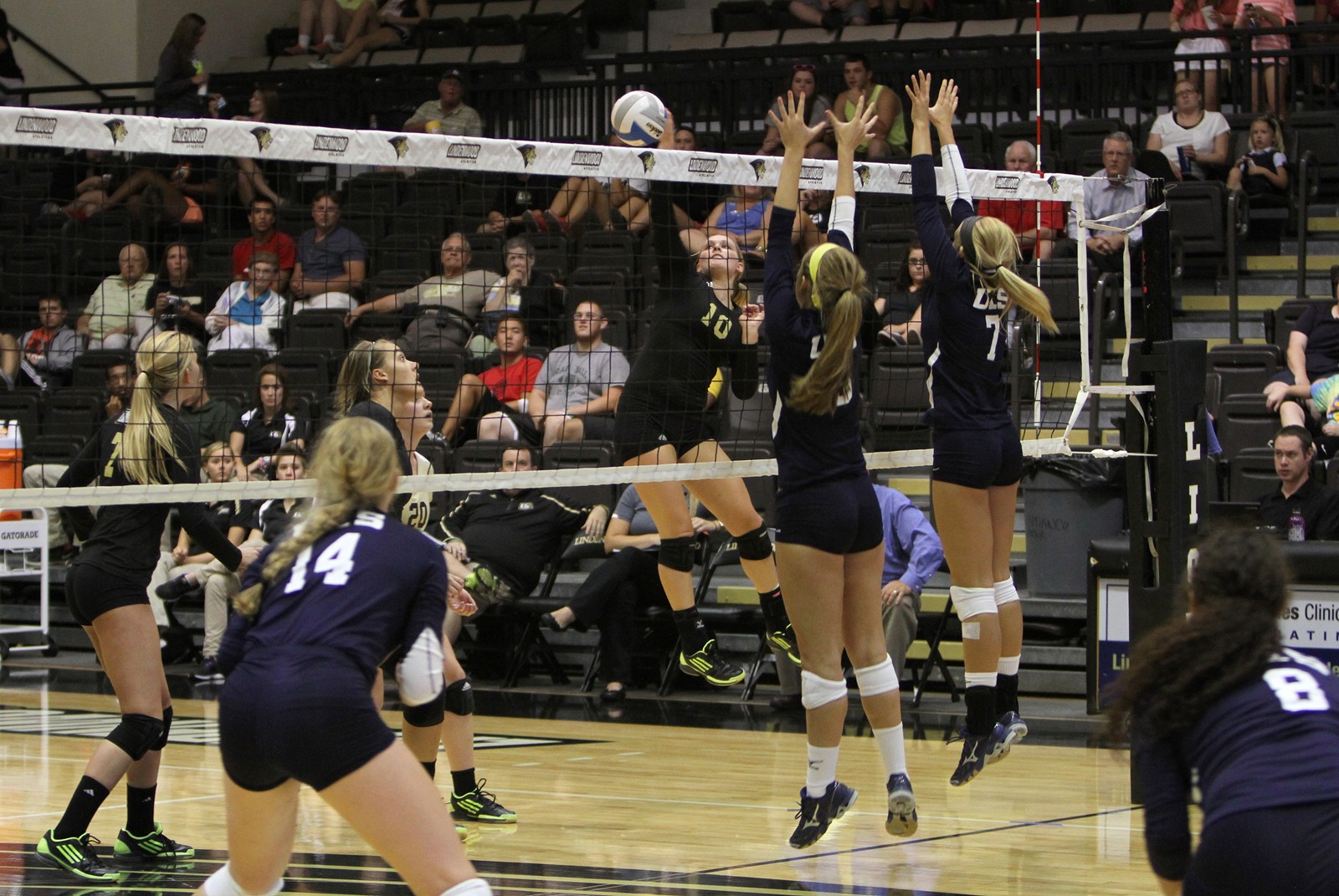Aleah Rosenau - Women's Volleyball - Lindenwood University Athletics