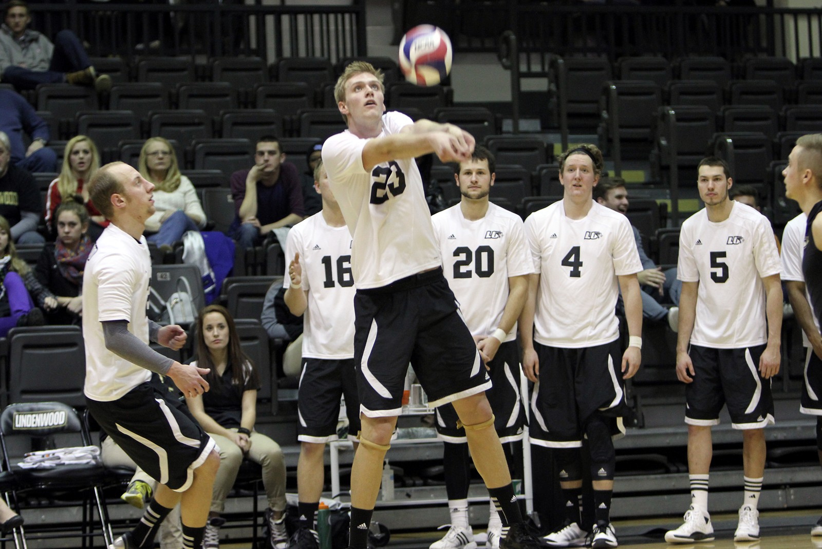 Colin Hackworth - Men's Volleyball - Lindenwood University Athletics
