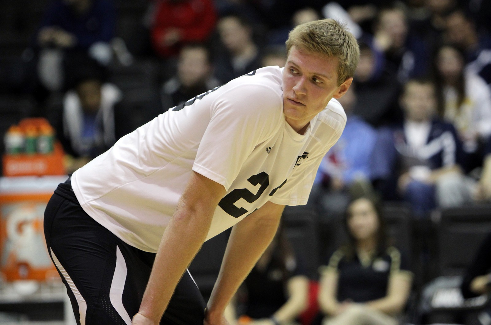 Colin Hackworth - Men's Volleyball - Lindenwood University Athletics