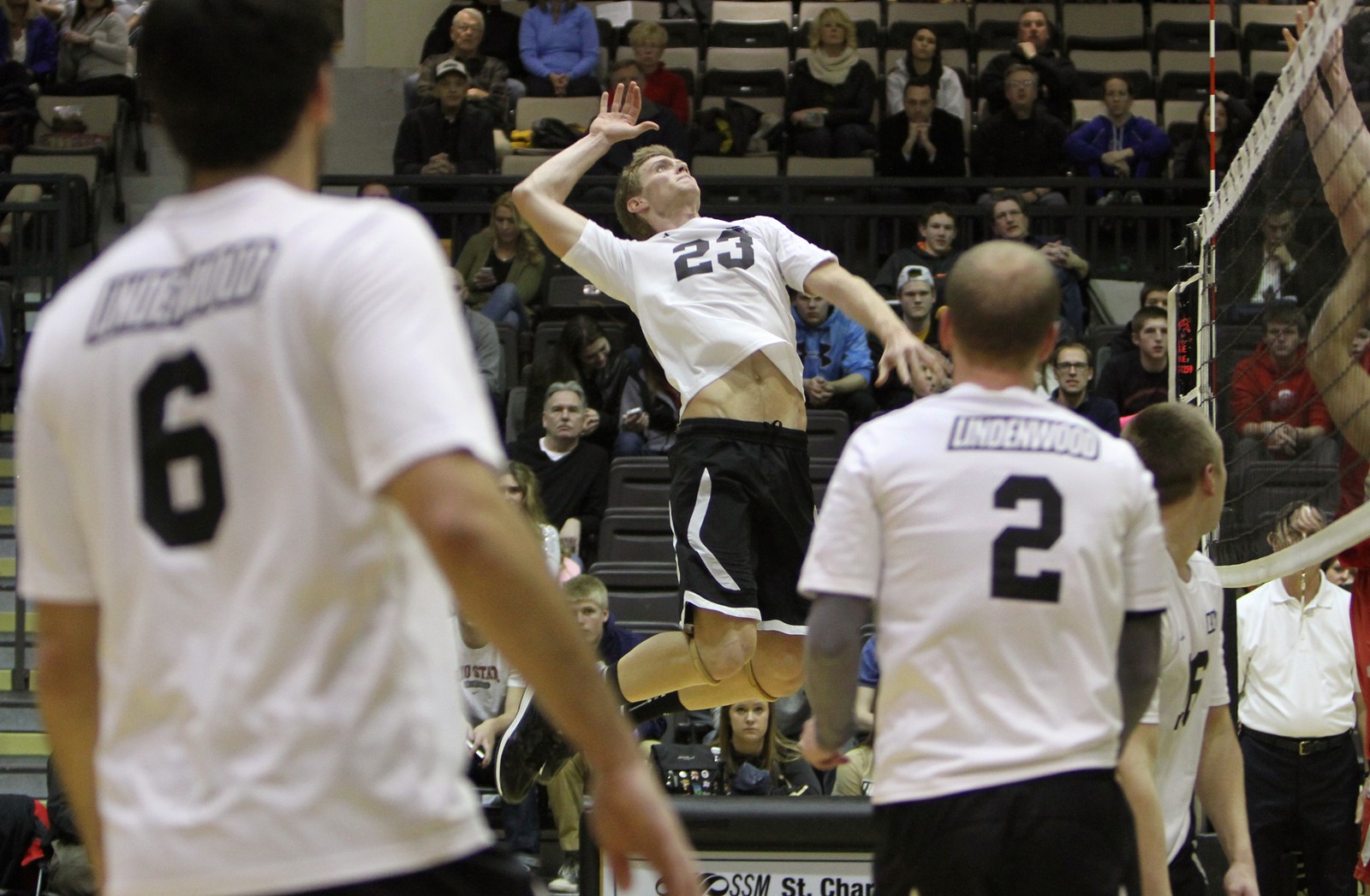 Colin Hackworth - Men's Volleyball - Lindenwood University Athletics