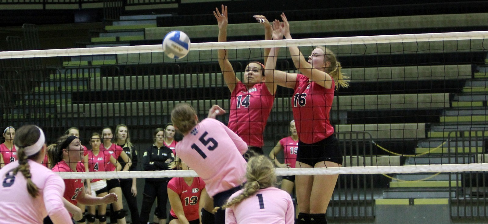 Alex Dahlstrom - Women's Volleyball - Lindenwood University Athletics