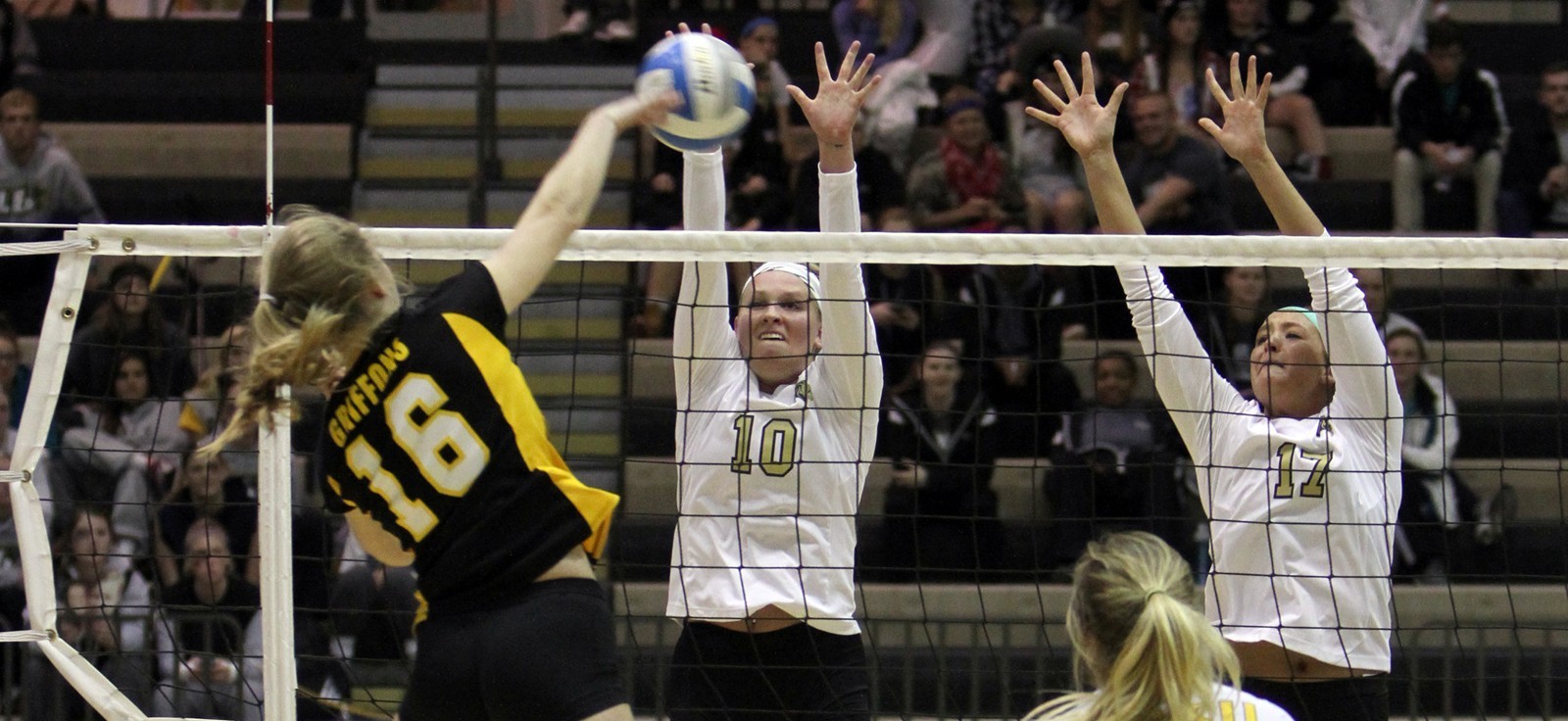 Aleah Rosenau - Women's Volleyball - Lindenwood University Athletics