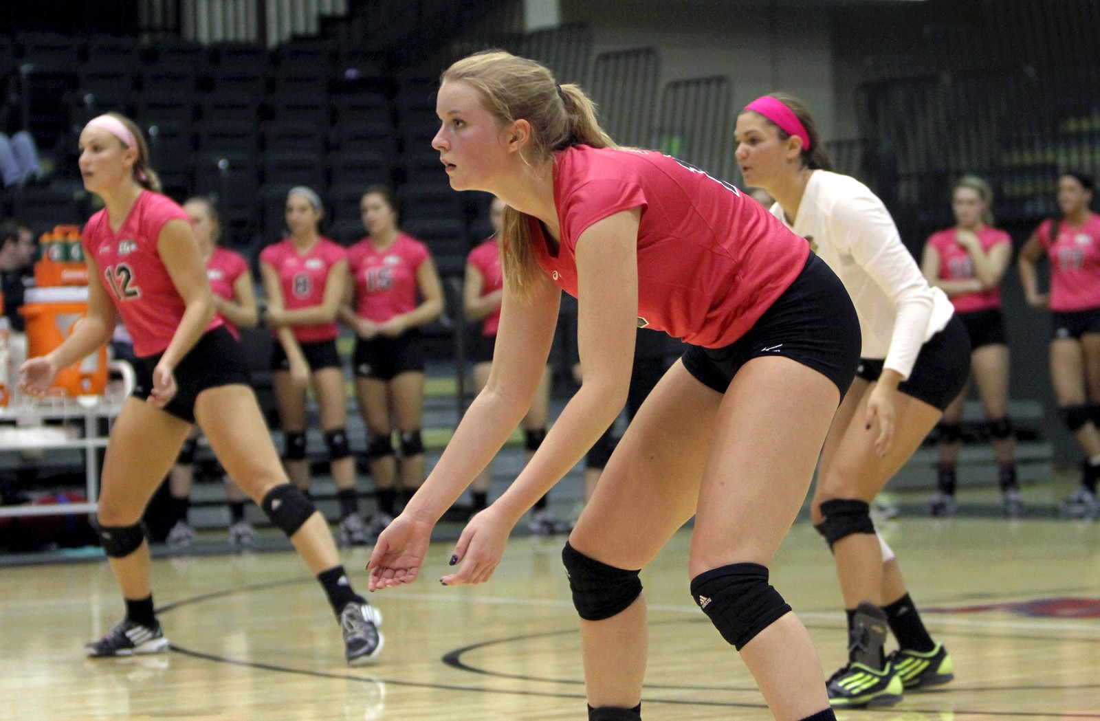 Alex Dahlstrom - Women's Volleyball - Lindenwood University Athletics