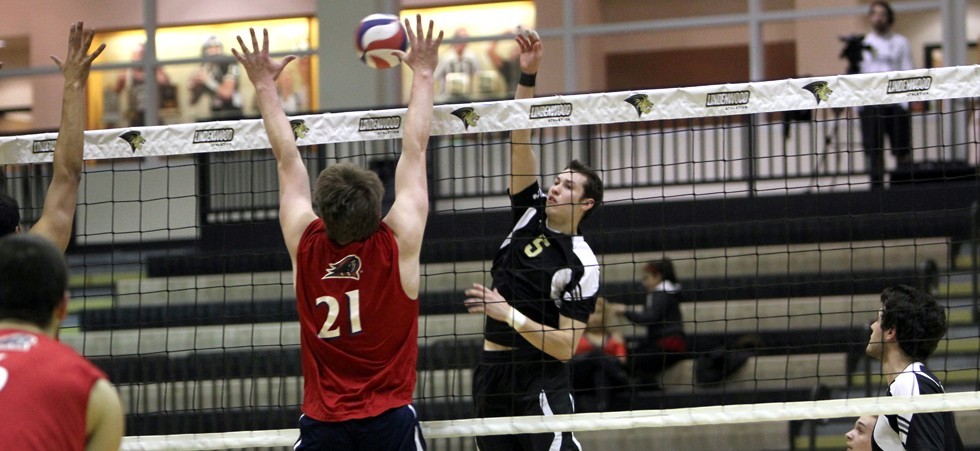 Tim Huizinga - Men's Volleyball - Lindenwood University Athletics