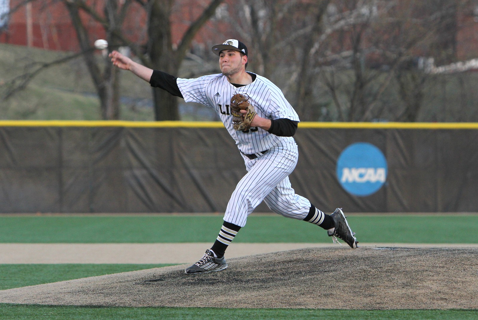 Devin Breihan - Baseball - Lindenwood University Athletics
