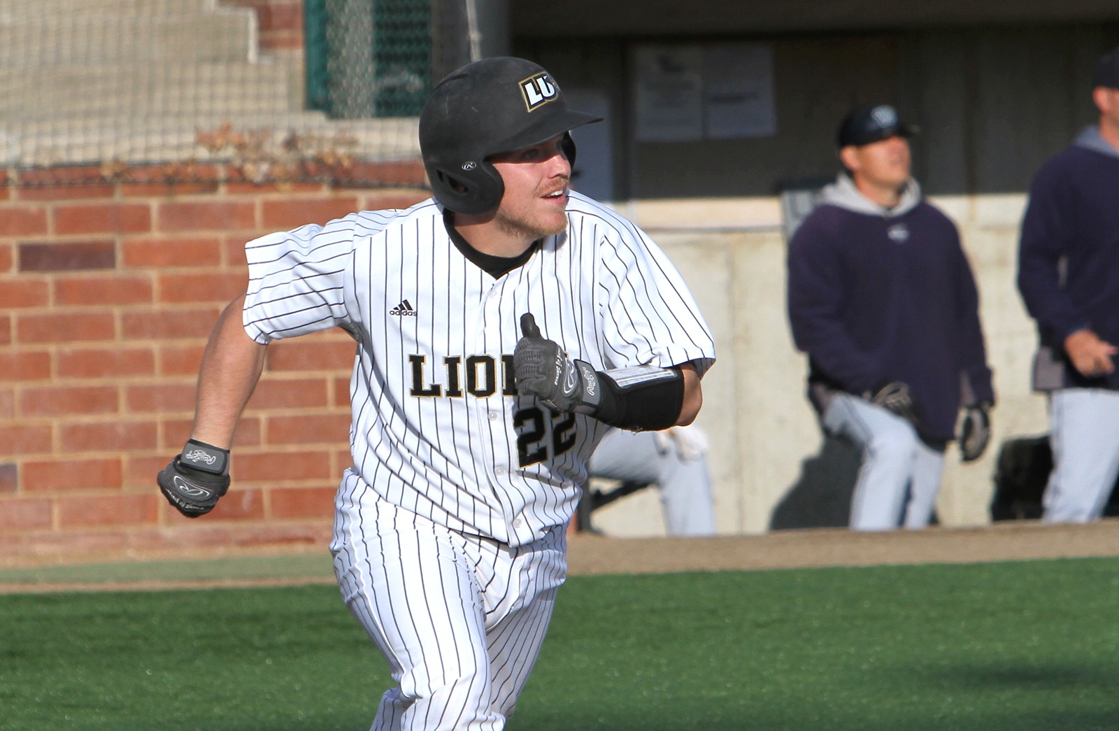 Mike Wilson - Baseball - Lindenwood University Athletics