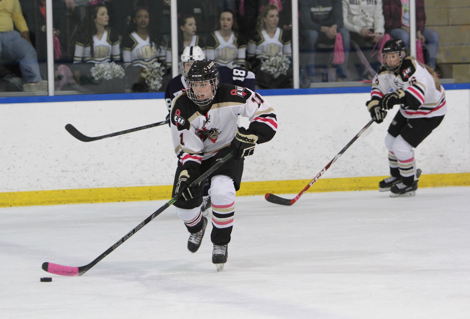 Nicole Rash - Women's Ice Hockey - Lindenwood University Athletics