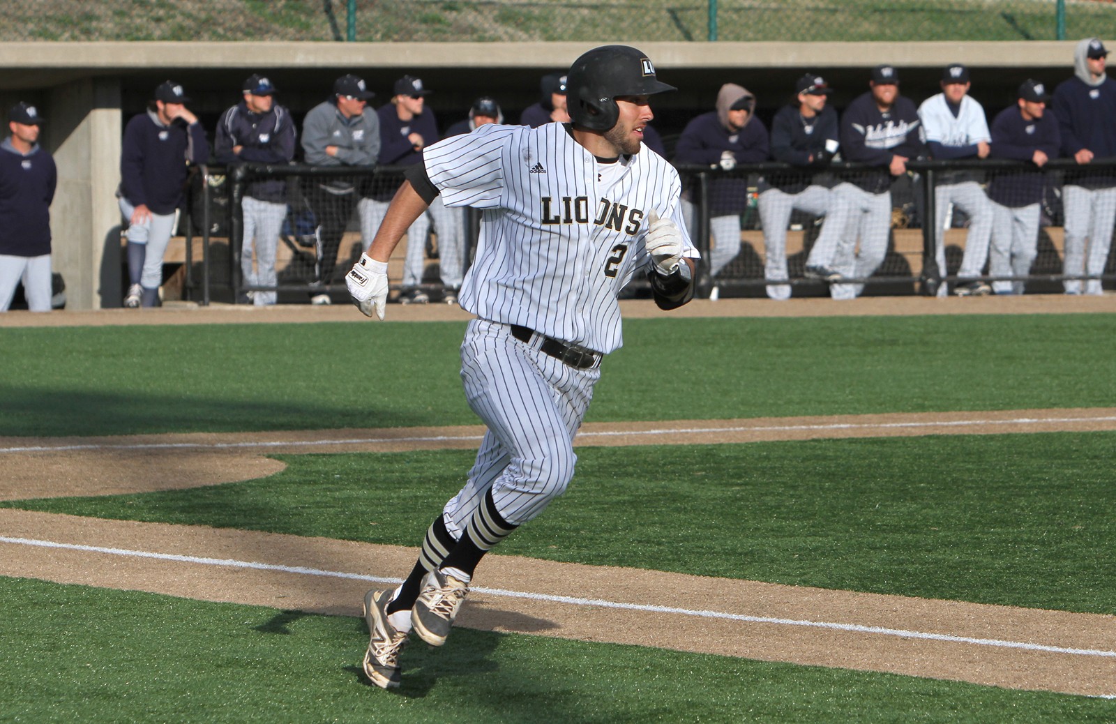 Ryan Light - Baseball - Lindenwood University Athletics