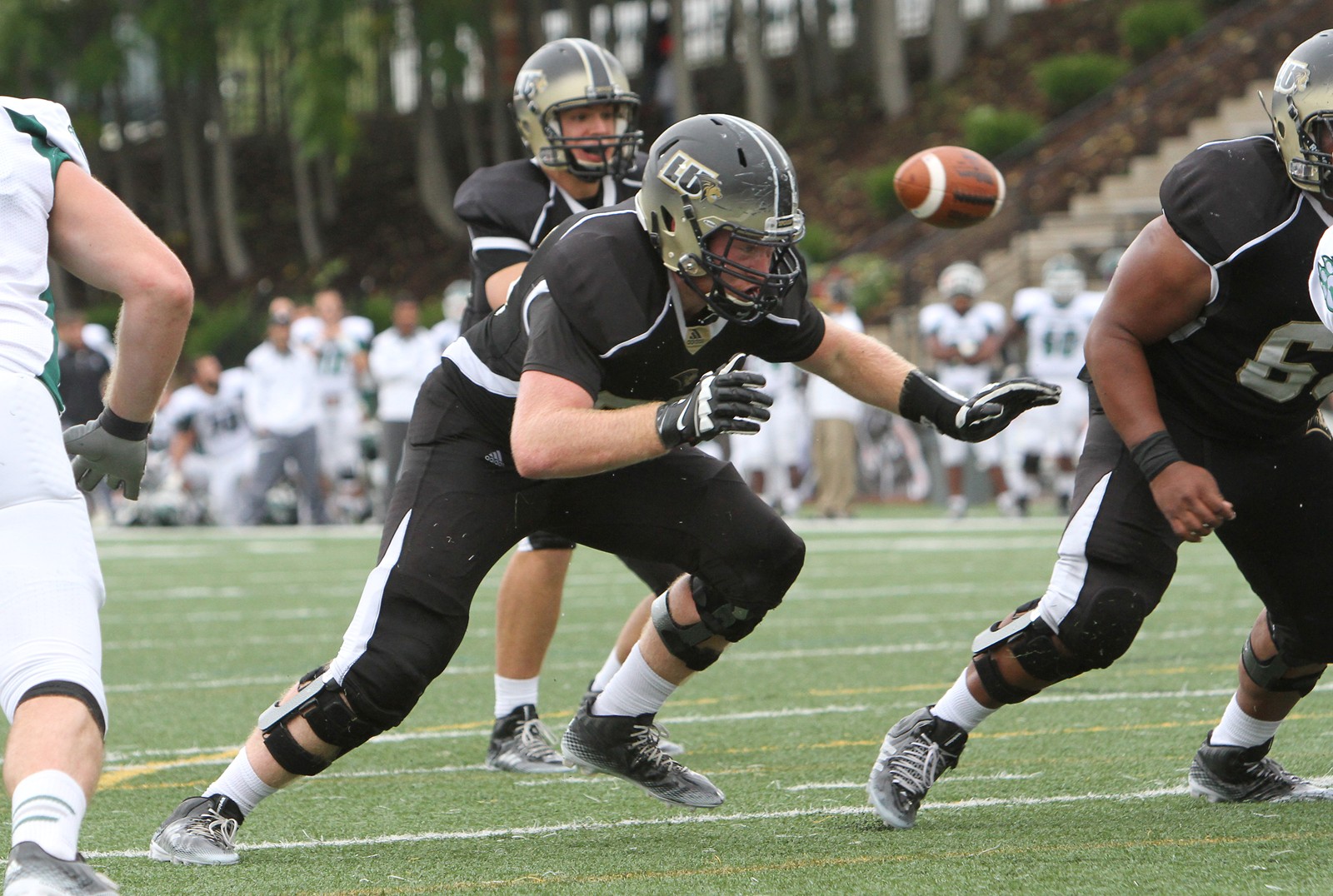 Derek Gurnea - Football - Lindenwood University Athletics