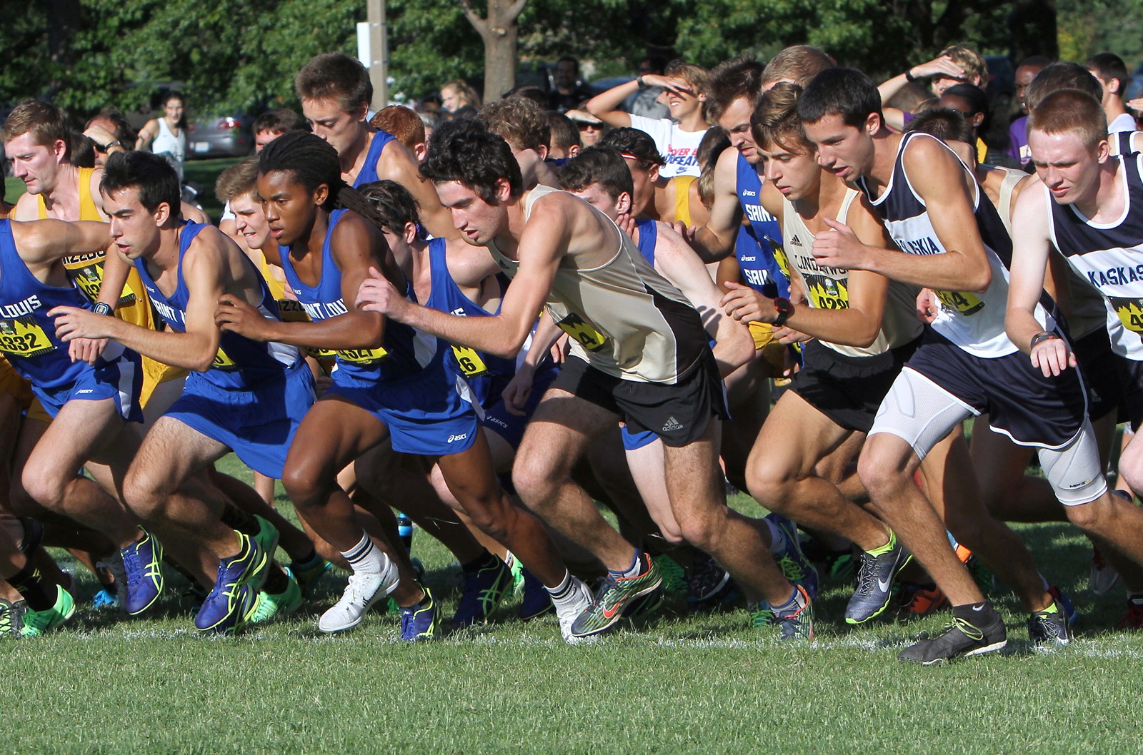 Colin Cernik - Men's Cross Country - Lindenwood University Athletics