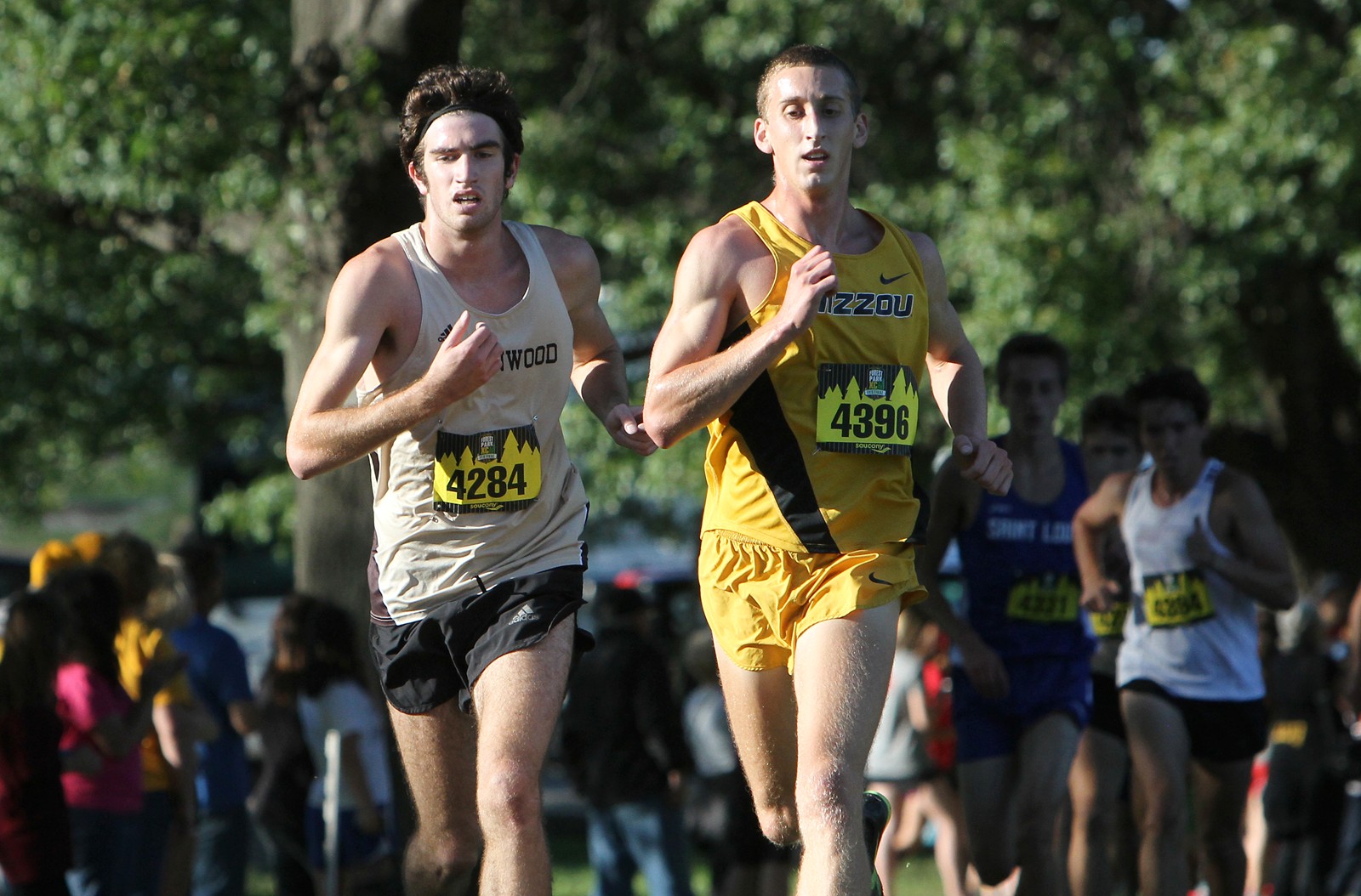 Colin Cernik - Men's Cross Country - Lindenwood University Athletics