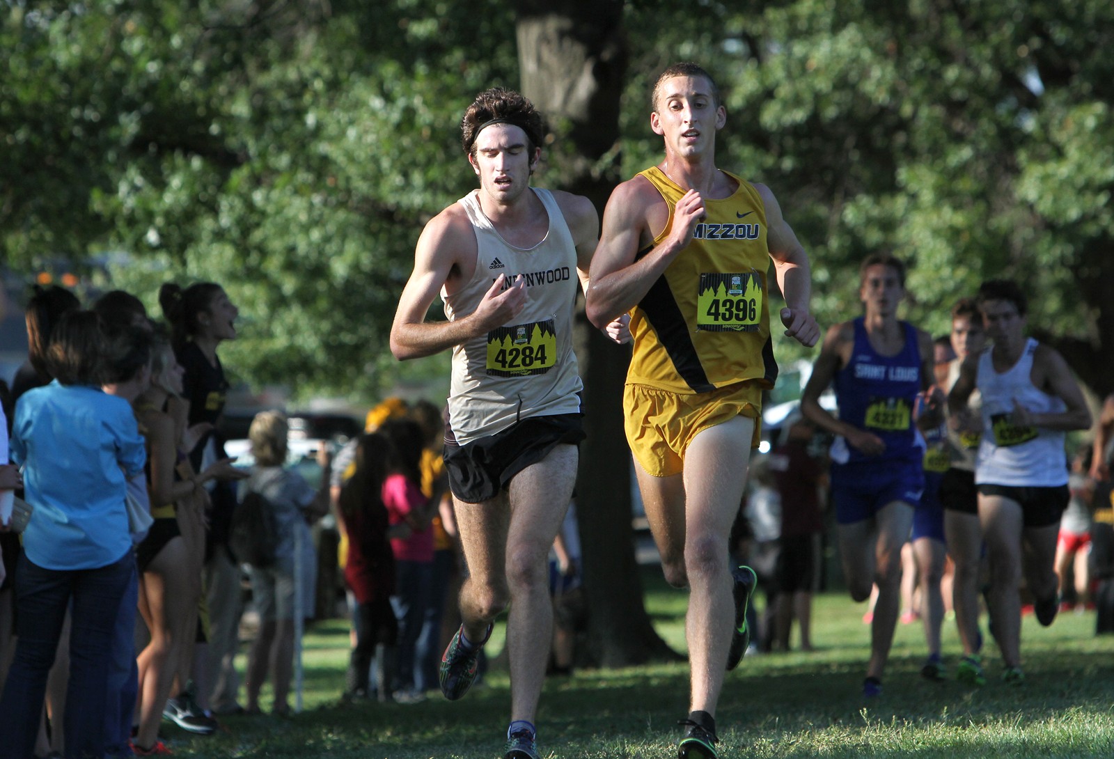 Colin Cernik - Men's Cross Country - Lindenwood University Athletics