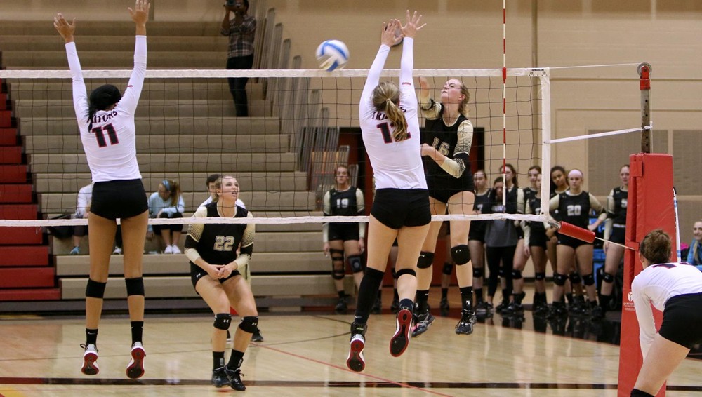 Alex Dahlstrom - Women's Volleyball - Lindenwood University Athletics