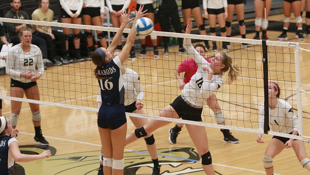 Alex Dahlstrom - Women's Volleyball - Lindenwood University Athletics