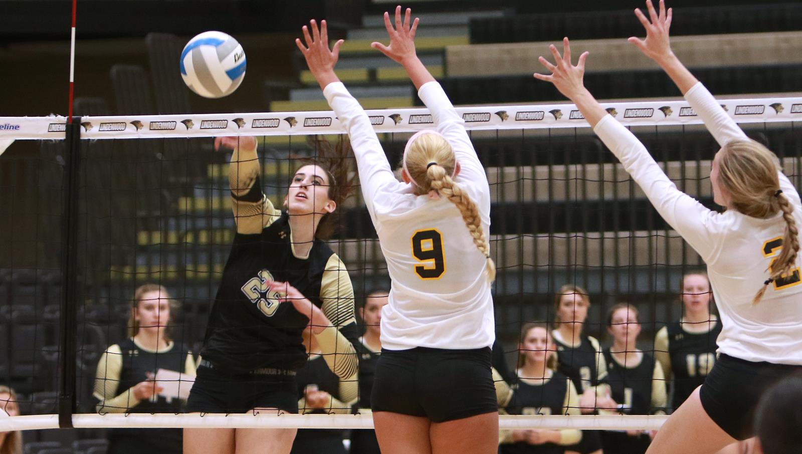 Emily Wylie - Women's Volleyball - Lindenwood University Athletics