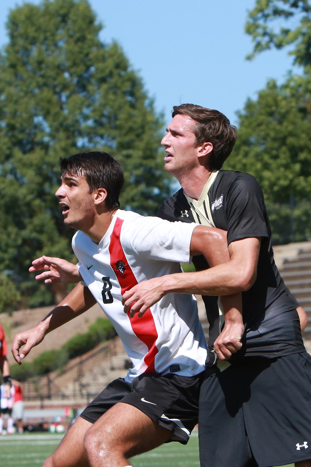 Stefan Andric - Men's Soccer - Lindenwood University Athletics