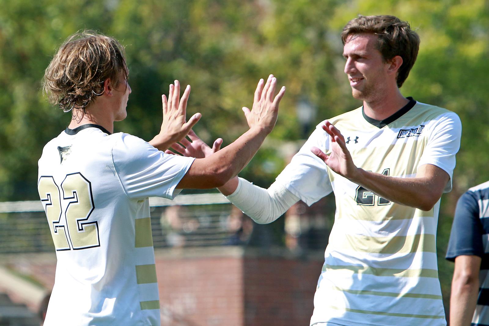 Stefan Andric - Men's Soccer - Lindenwood University Athletics