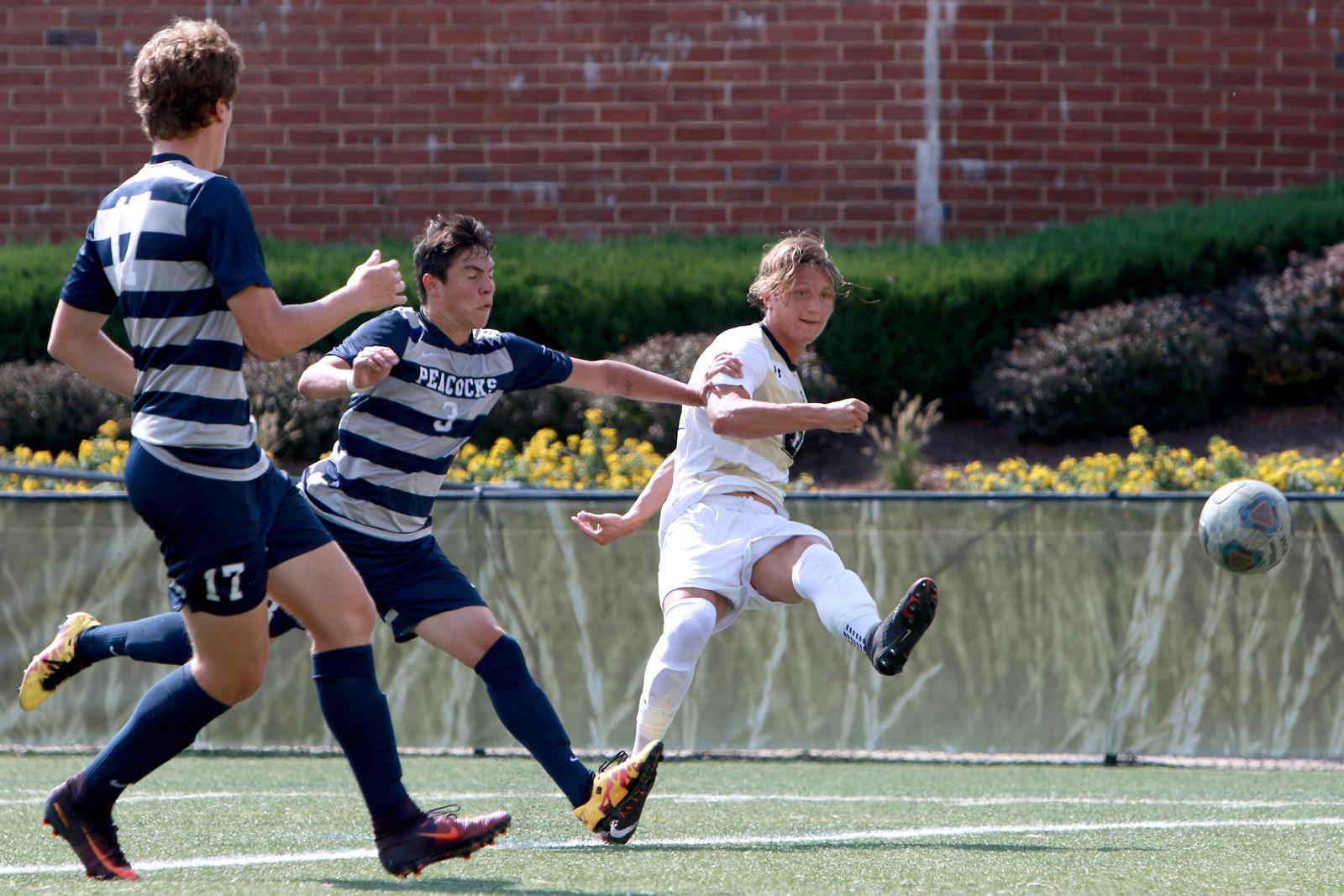 Michele Ganz - Men's Soccer - Lindenwood University Athletics