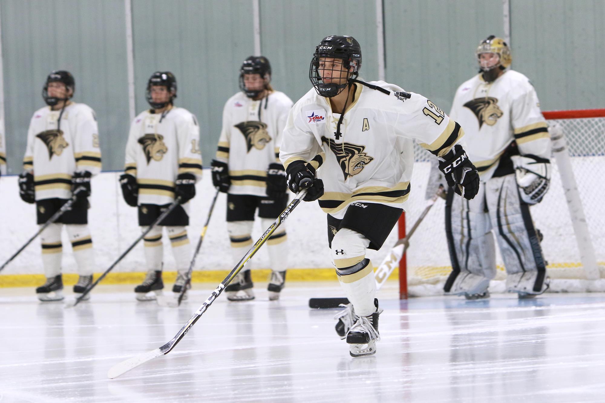 Alexandra Larson - Women's Ice Hockey - Lindenwood University Athletics