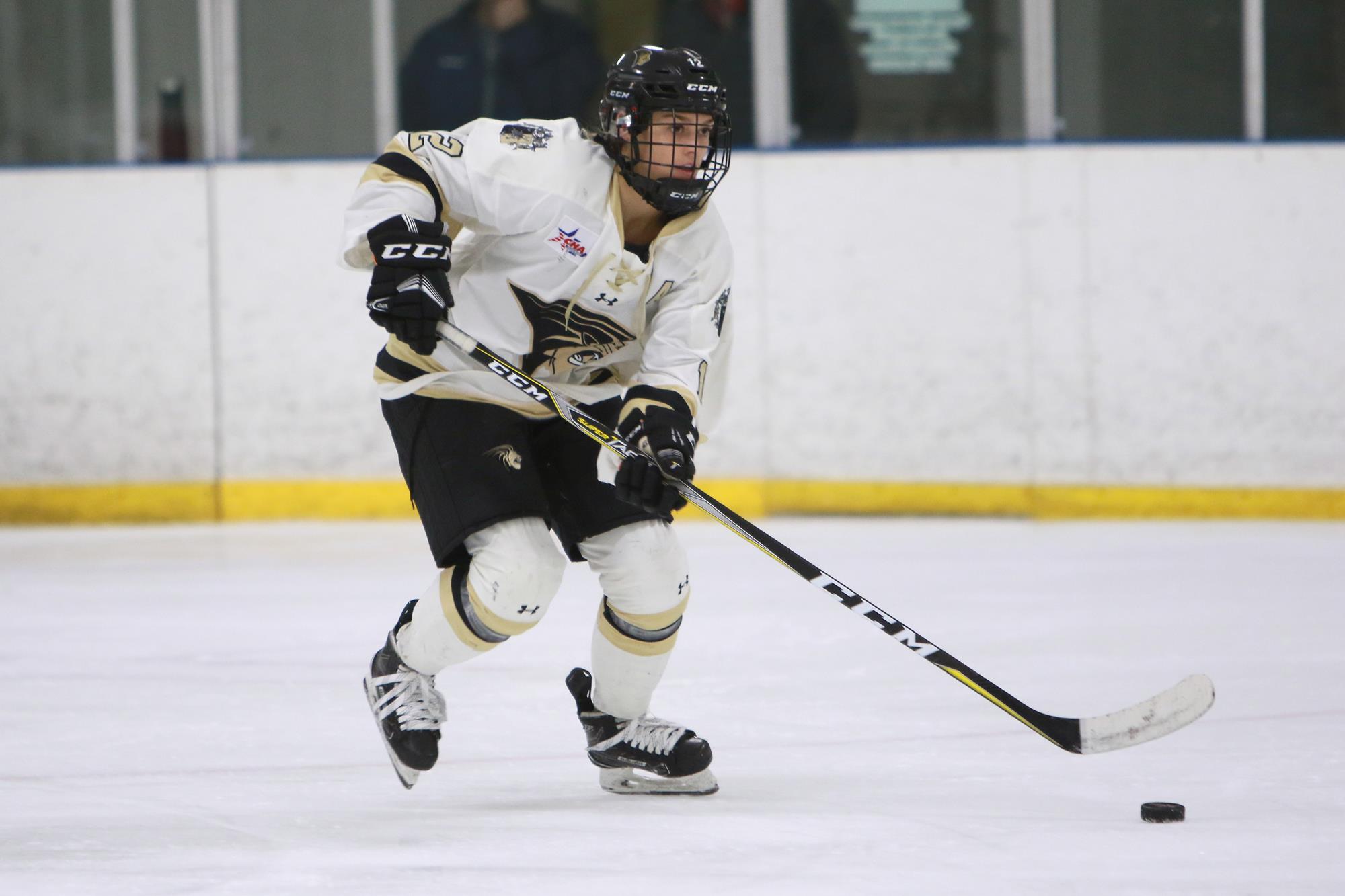 Alexandra Larson - Women's Ice Hockey - Lindenwood University Athletics