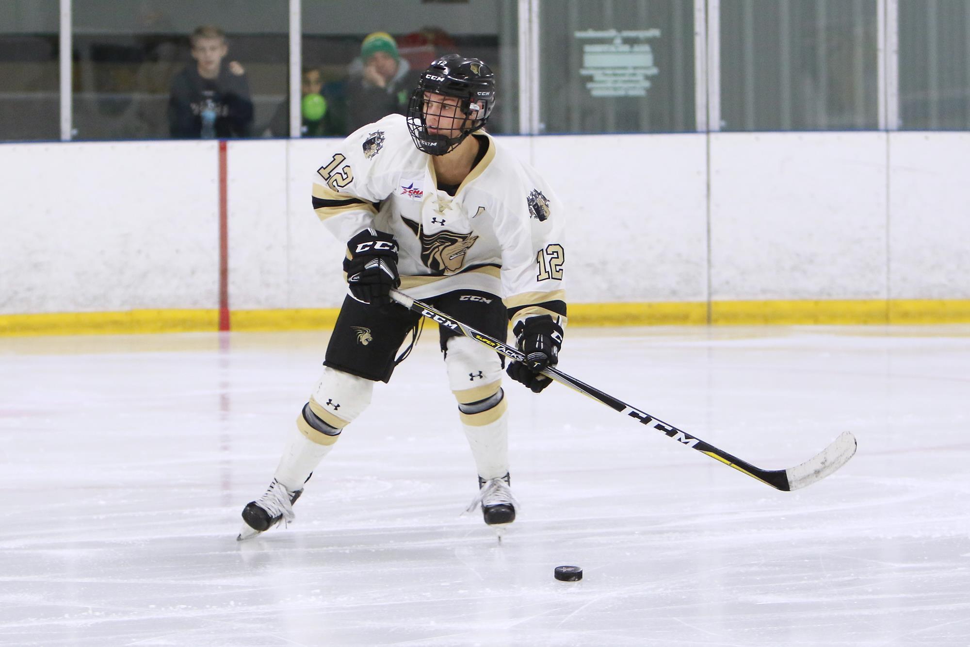 Alexandra Larson - Women's Ice Hockey - Lindenwood University Athletics