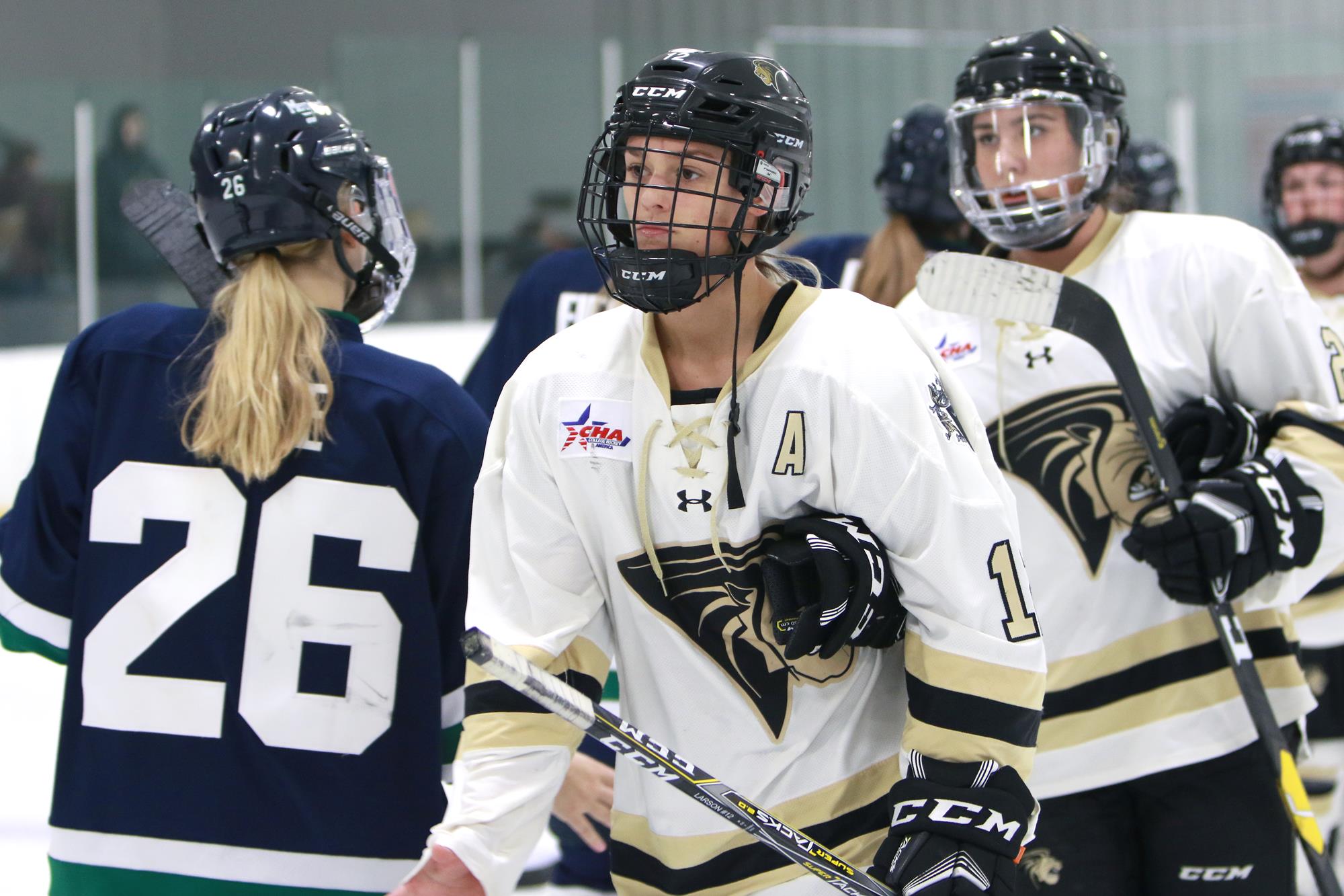 Alexandra Larson - Women's Ice Hockey - Lindenwood University Athletics