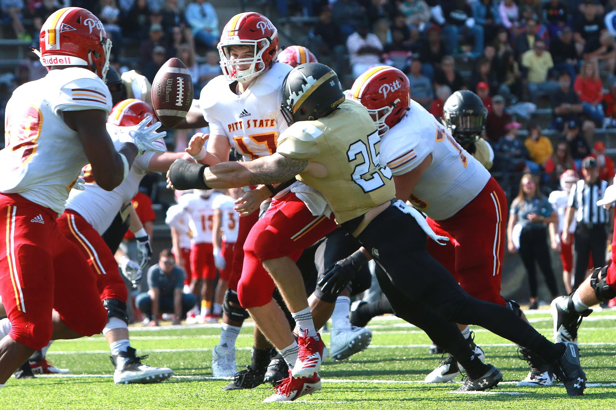 Zach Turnure - Football - Lindenwood University Athletics