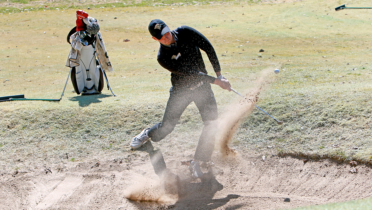 Markus Lindgren - Men's Golf - Lindenwood University Athletics
