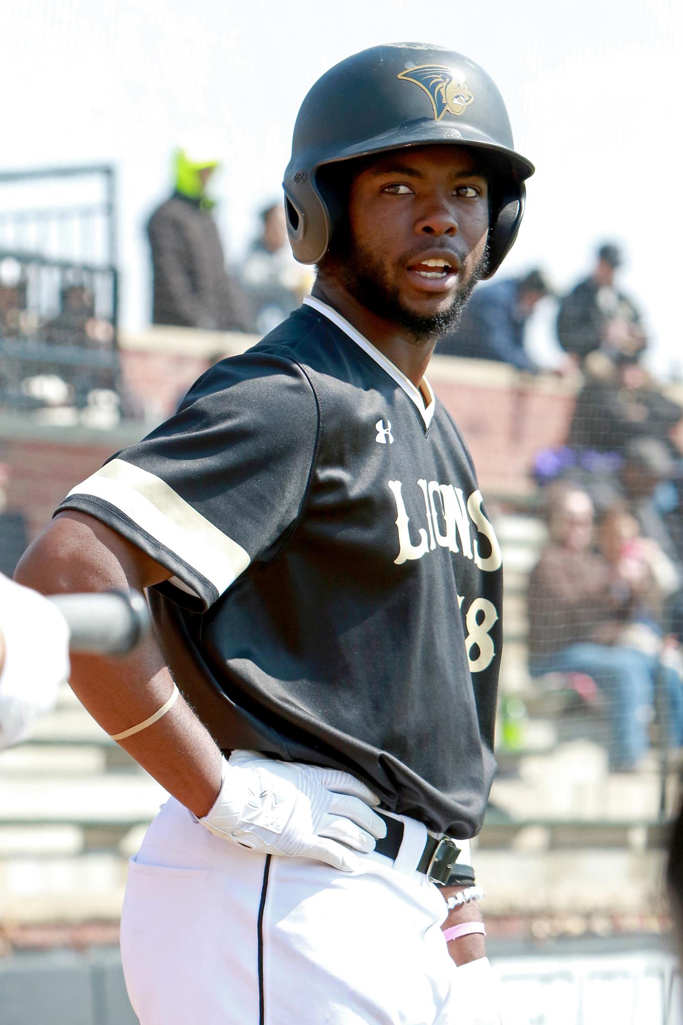 DJ Miller - Baseball - Lindenwood University Athletics