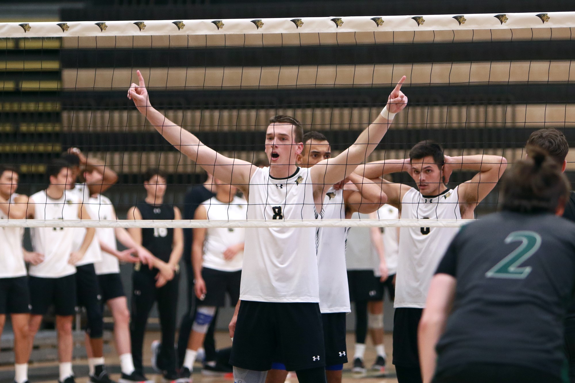 Sam Schindler - Men's Volleyball - Lindenwood University Athletics