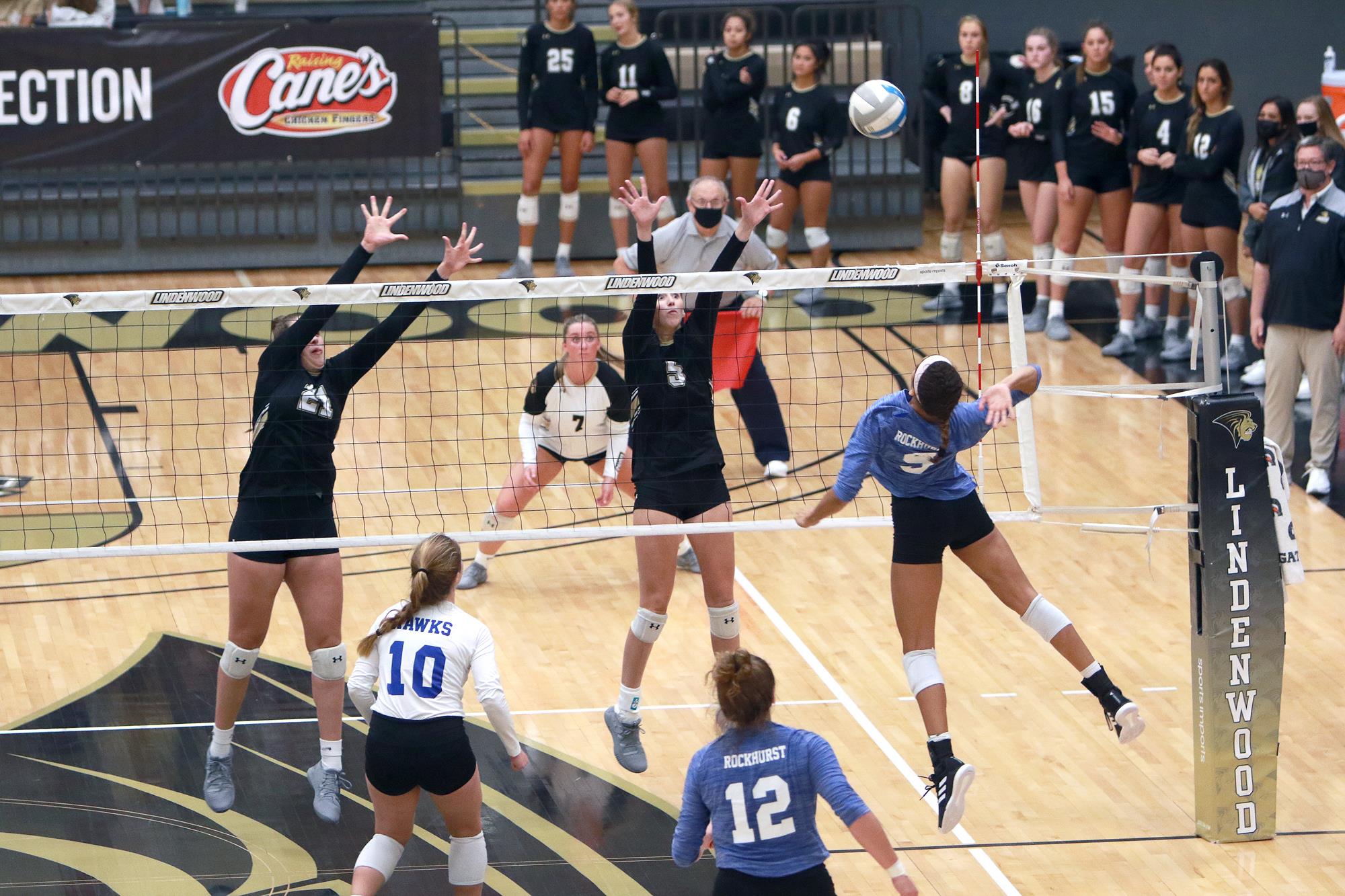 Taylor Gentemann - Women's Volleyball - Lindenwood University Athletics