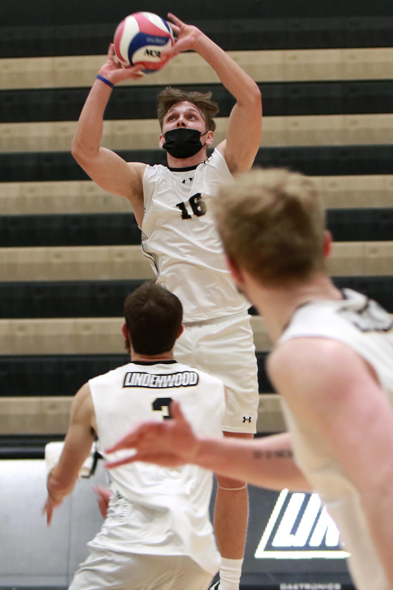 Connor Sheehan - Men's Volleyball - Lindenwood University Athletics