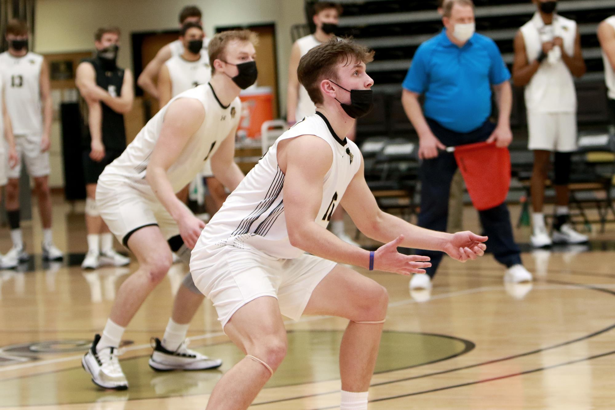 Connor Sheehan - Men's Volleyball - Lindenwood University Athletics