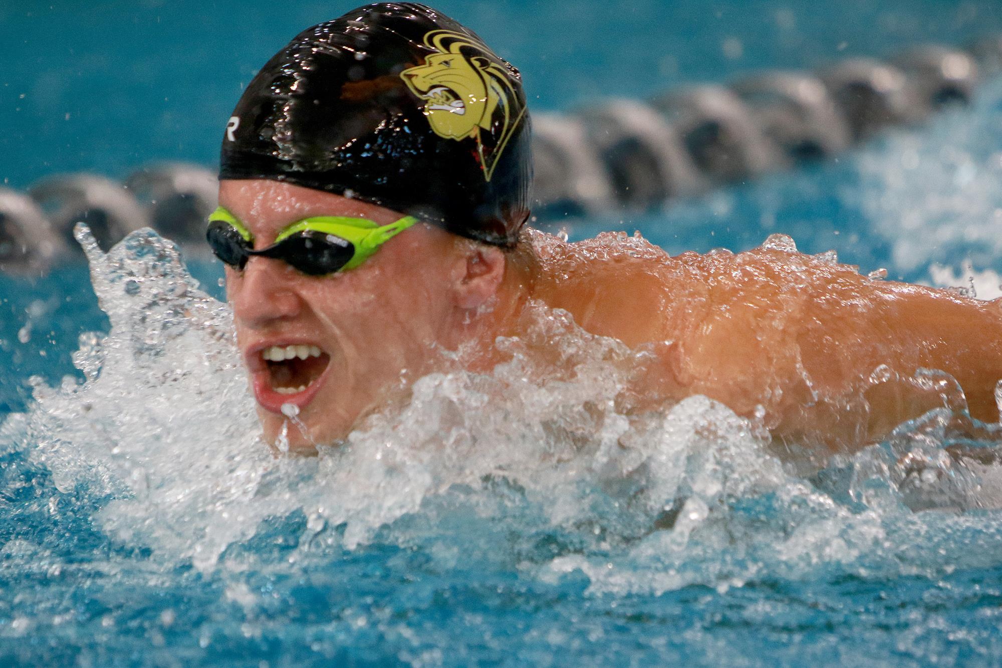 Jan Hanzal - Men's Swimming & Diving - Lindenwood University Athletics