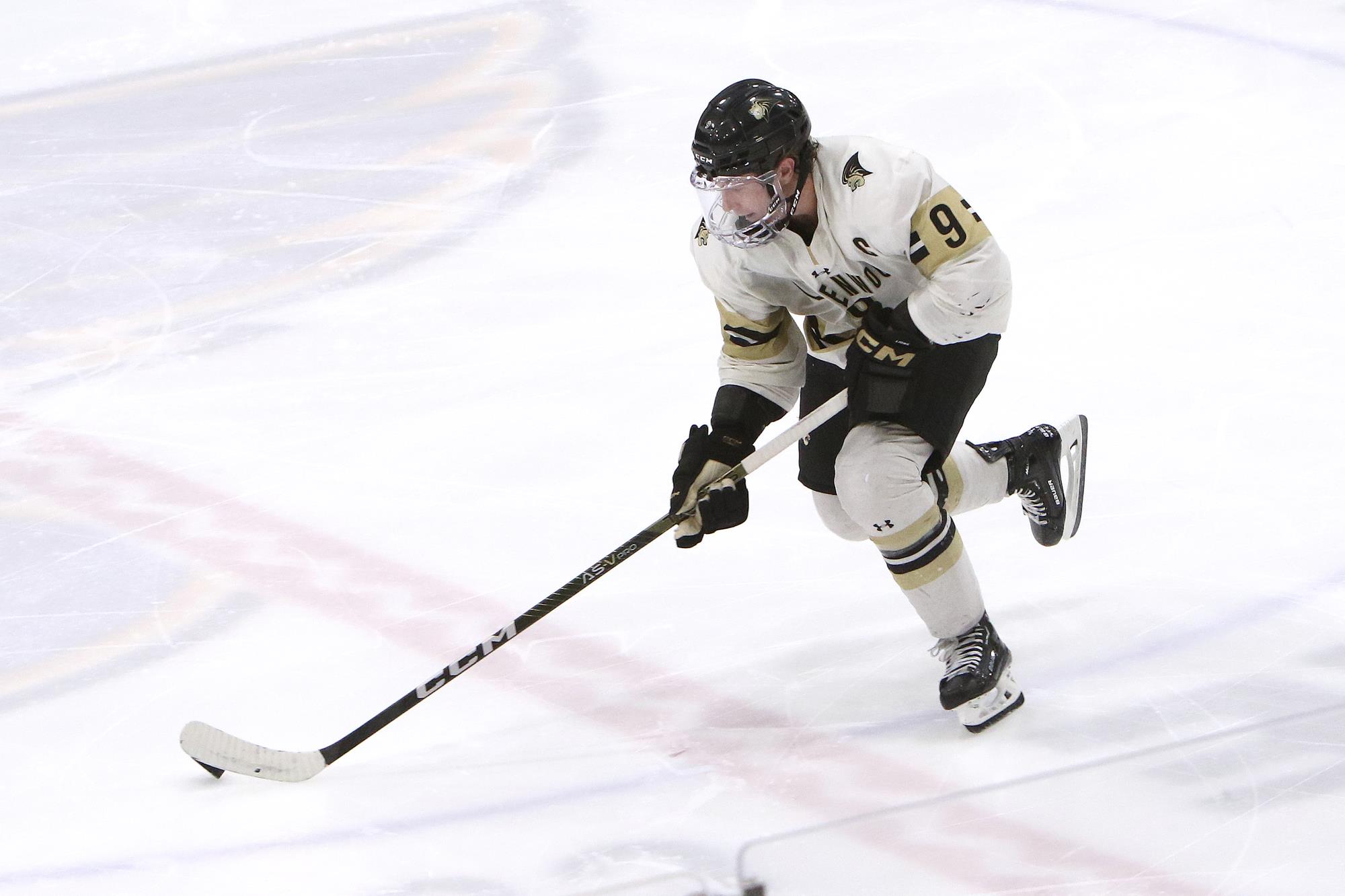 Andy Willis - Men's Ice Hockey - Lindenwood University Athletics