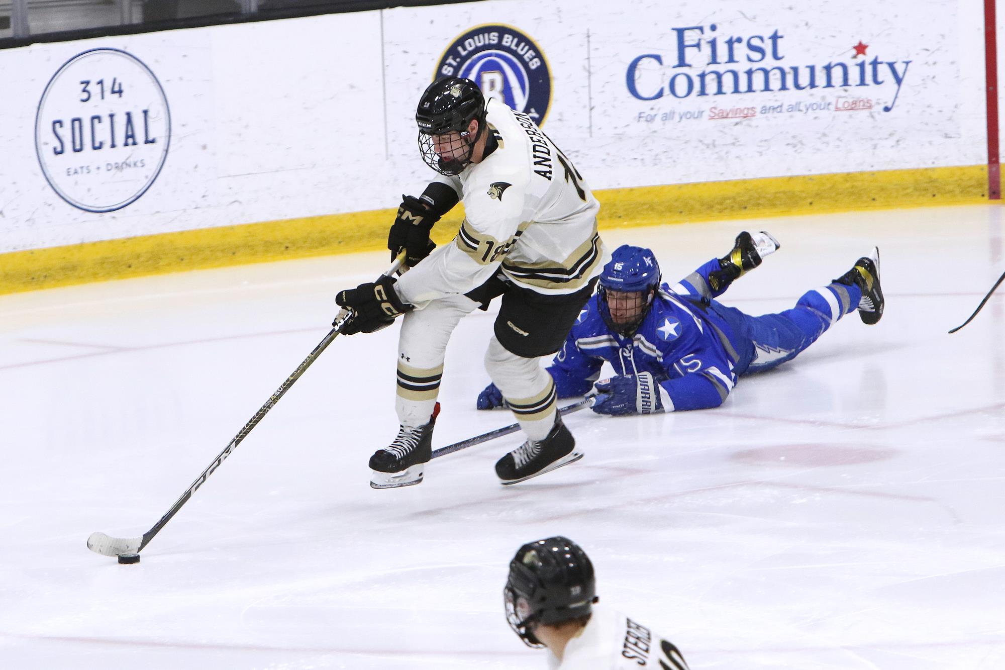 Anderson Scores in Loss For Men's Hockey - Lindenwood University Athletics