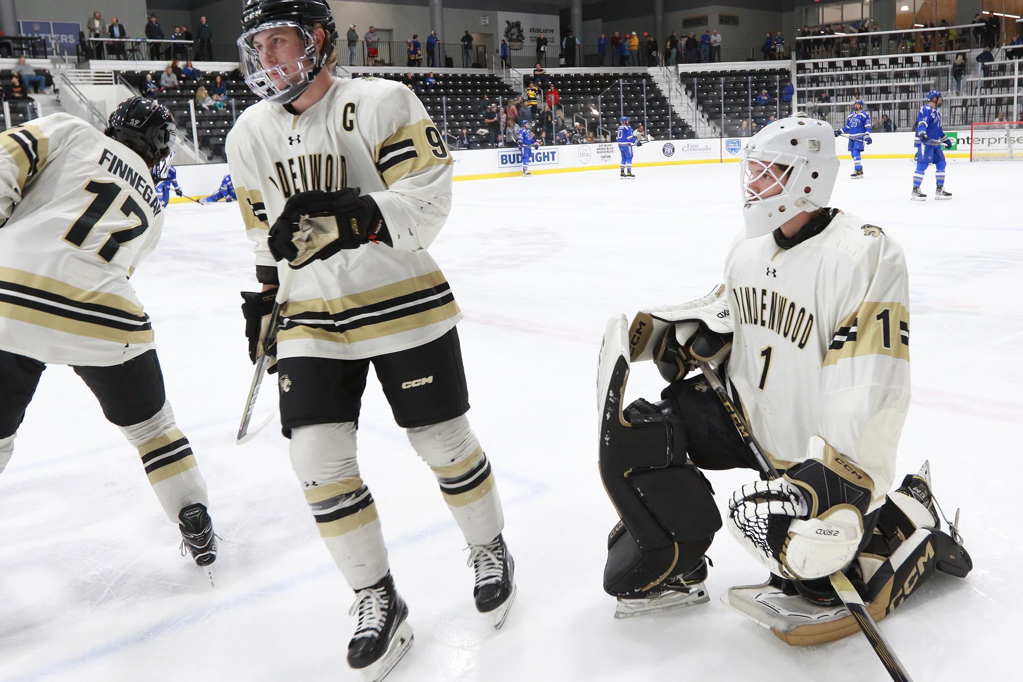 Ryan Finnegan - Men's Ice Hockey - Lindenwood University Athletics