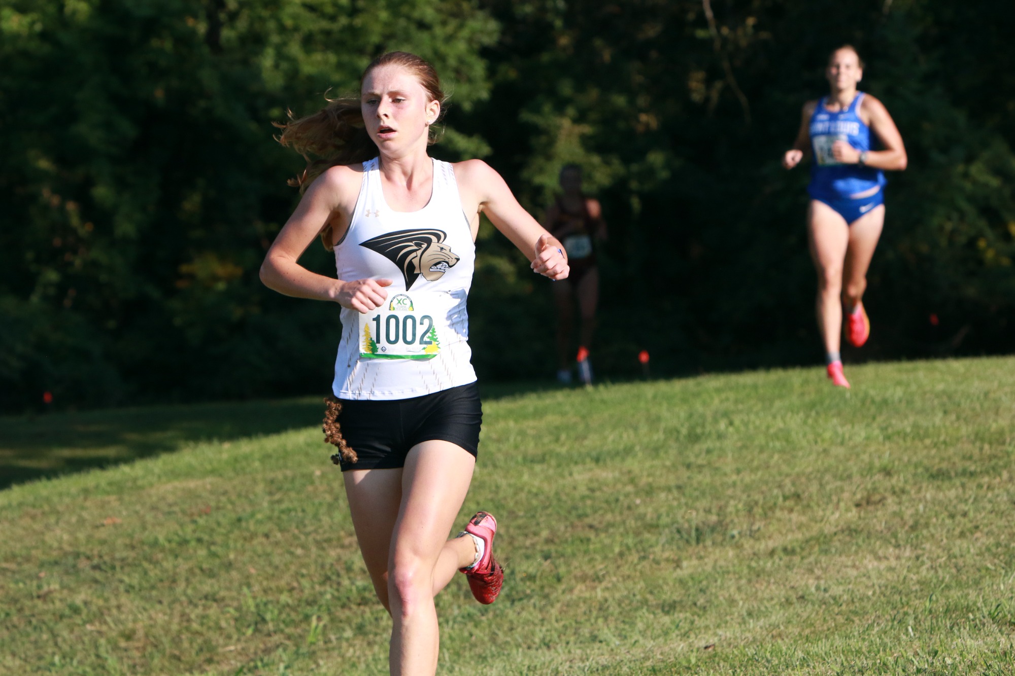Holly Harding - Women's Cross Country - Lindenwood University Athletics