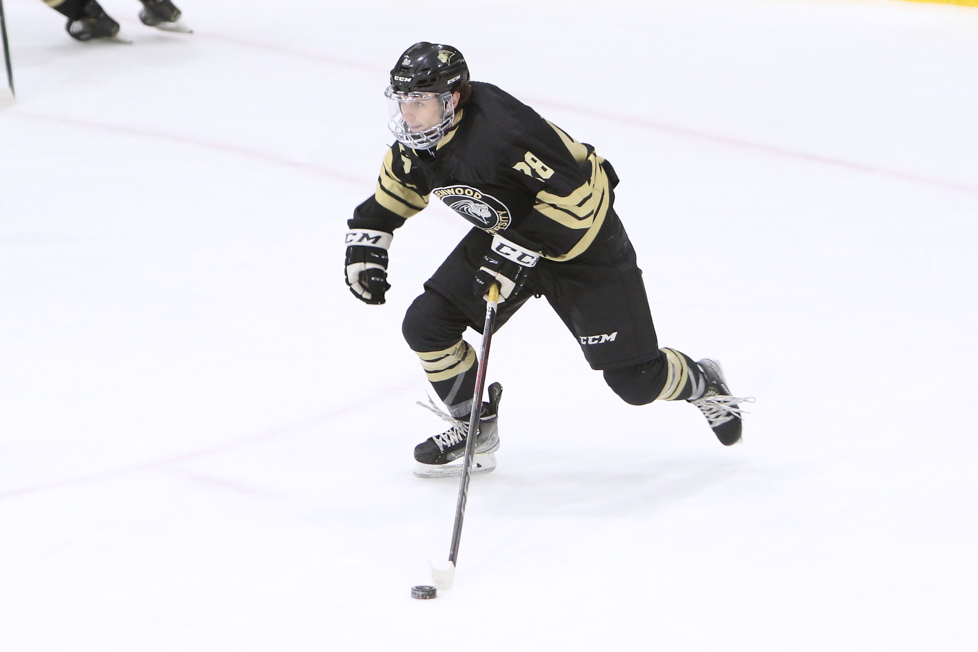 RJ Hart - Men's Ice Hockey - ACHA DII - Lindenwood University Athletics
