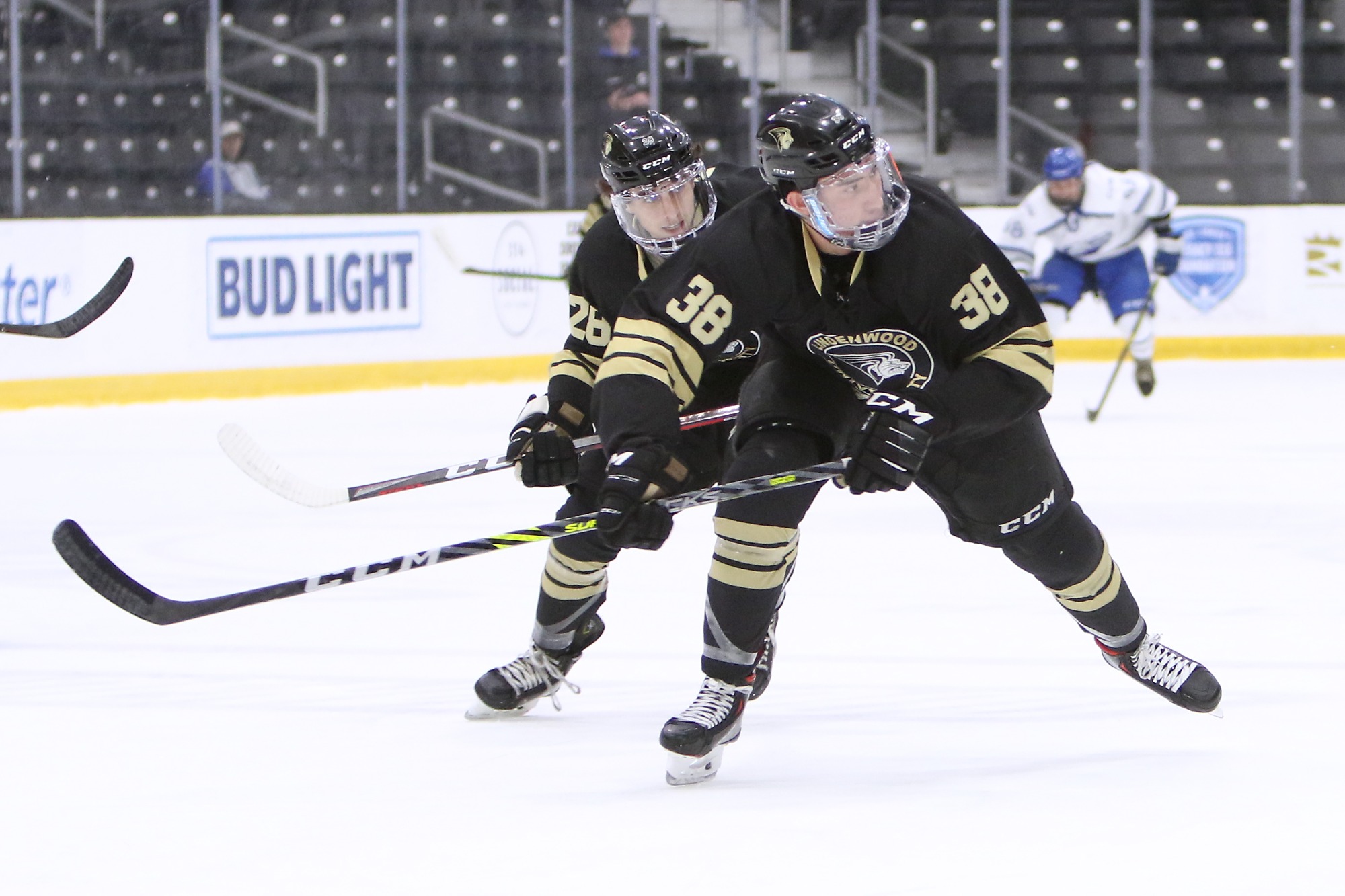 Shane Ziegler - Men's Ice Hockey - ACHA DII - Lindenwood University ...