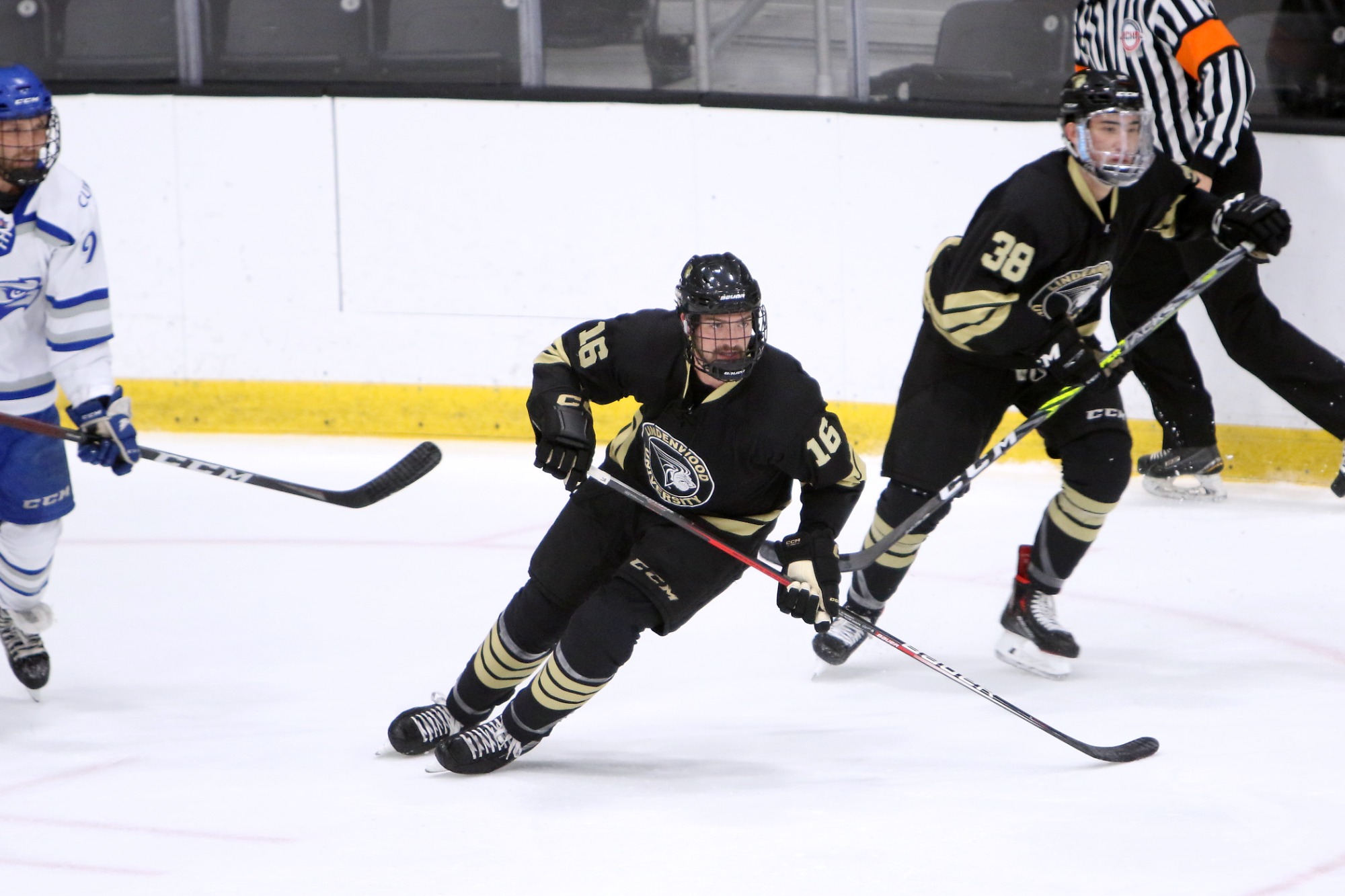 Chase McClellan - Men's Ice Hockey - ACHA DII - Lindenwood University ...