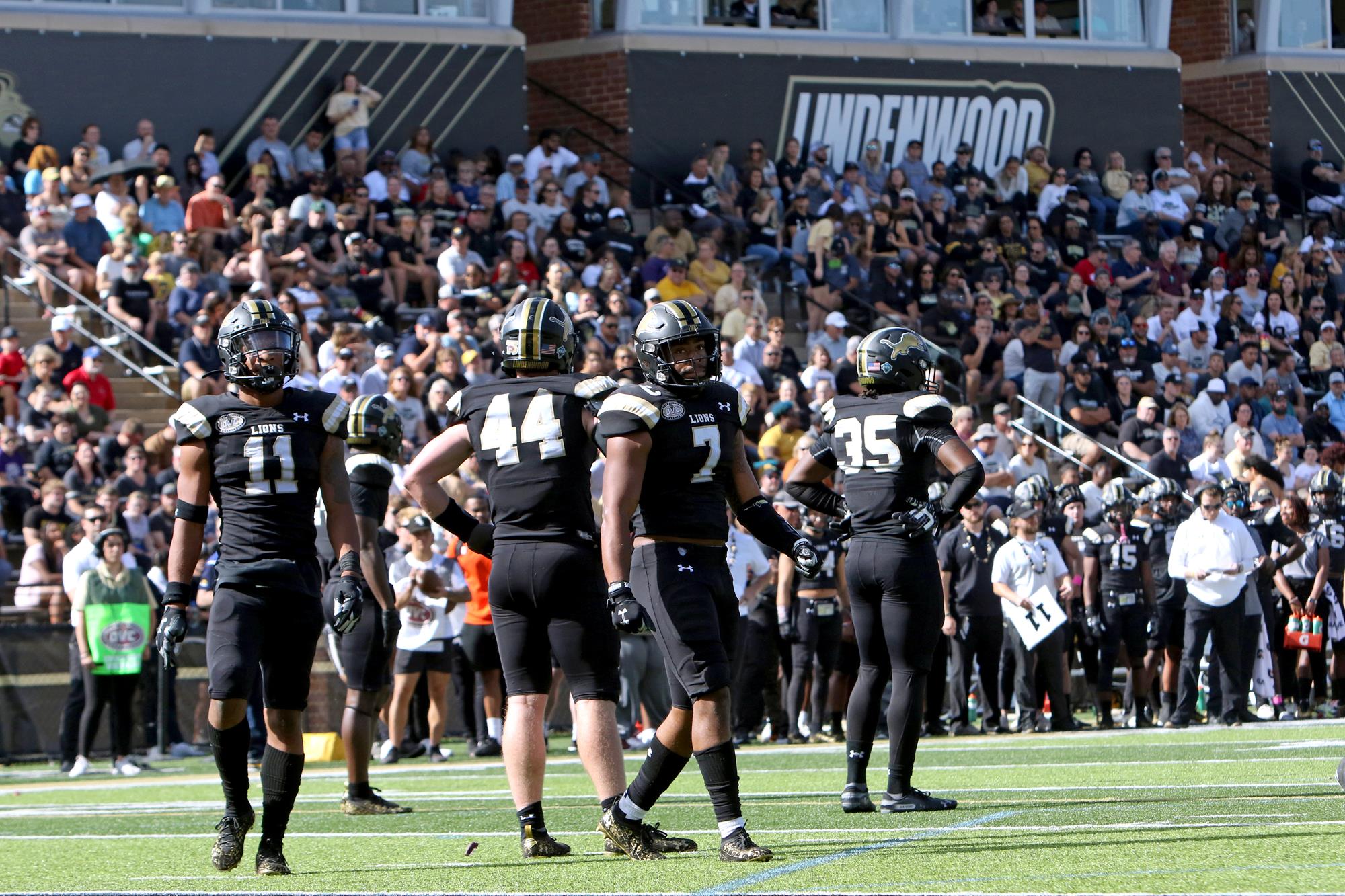 David Whittemore - Football - Lindenwood University Athletics