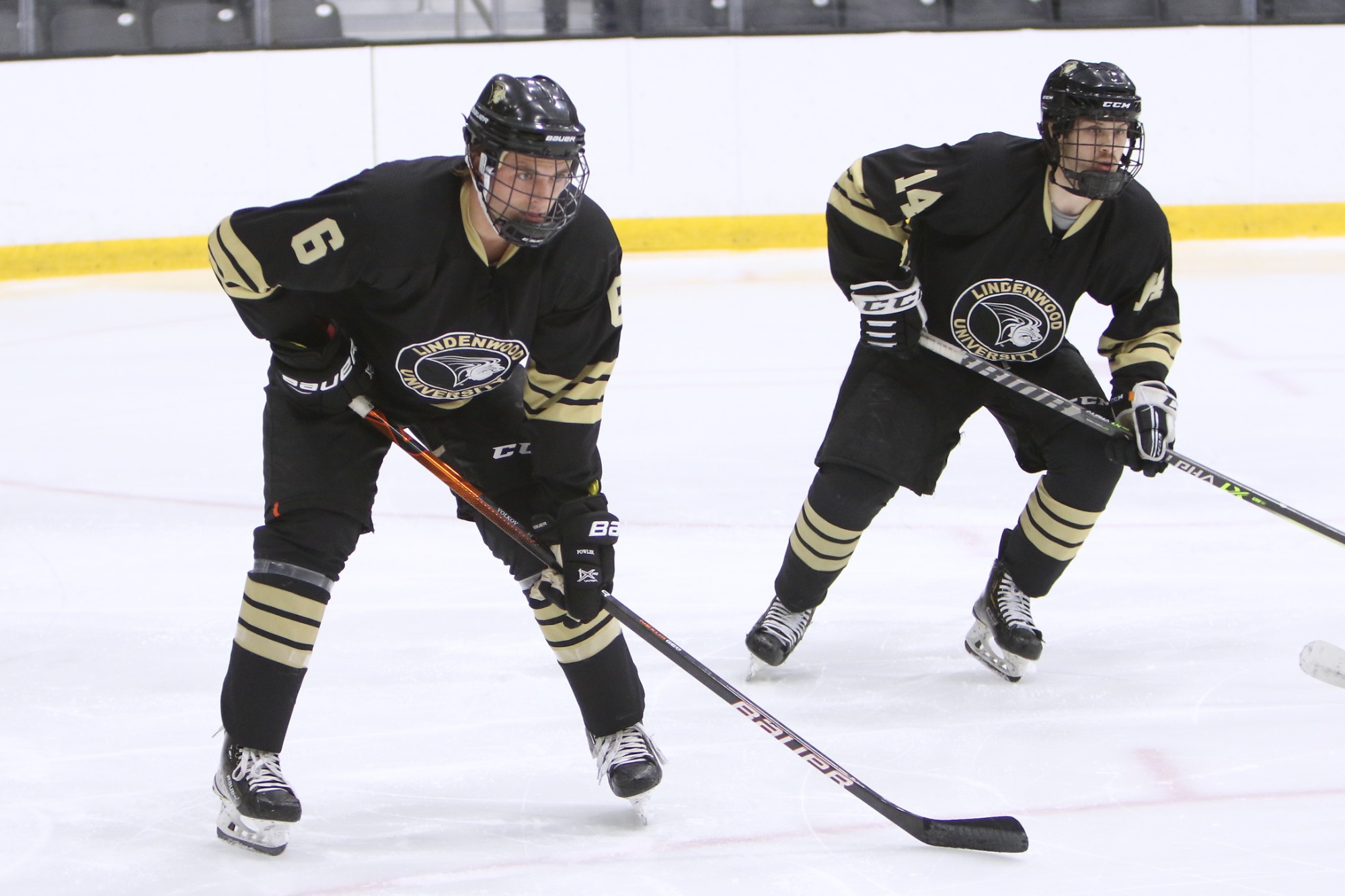 Bradley Rupp - Men's Ice Hockey - ACHA DII - Lindenwood University ...