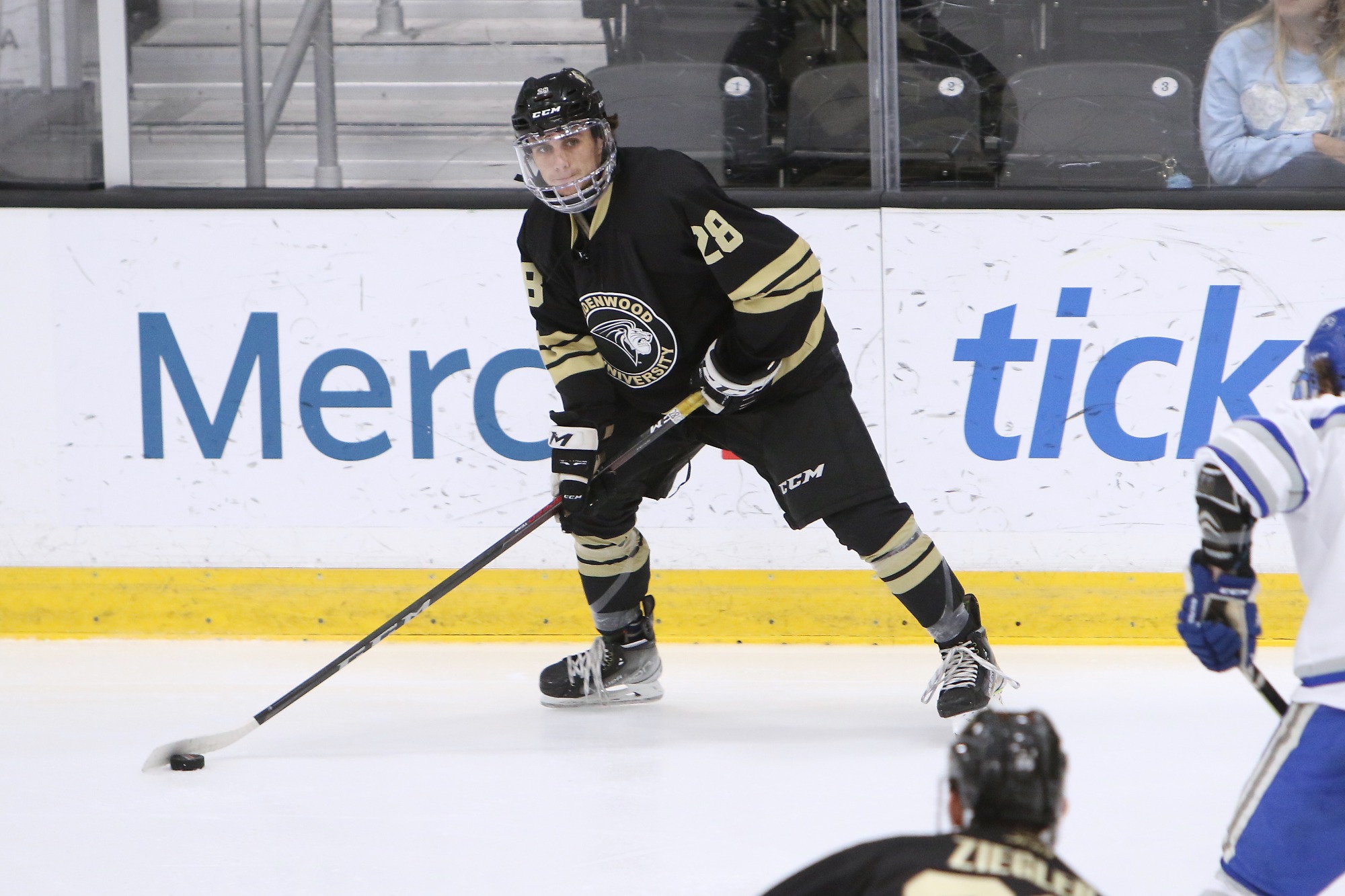 RJ Hart - Men's Ice Hockey - ACHA DII - Lindenwood University Athletics