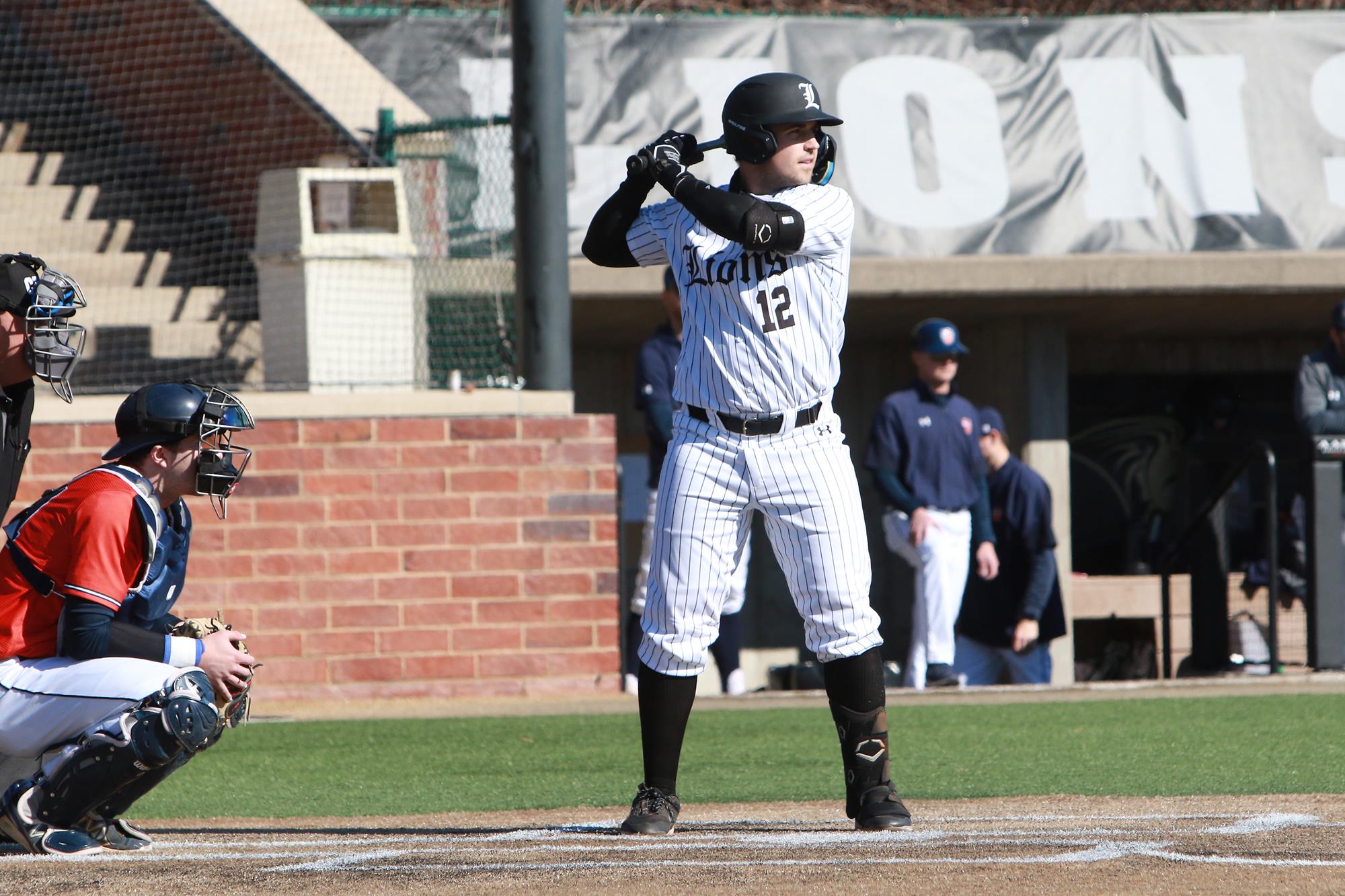 Michael Ward - Baseball - Lindenwood University Athletics