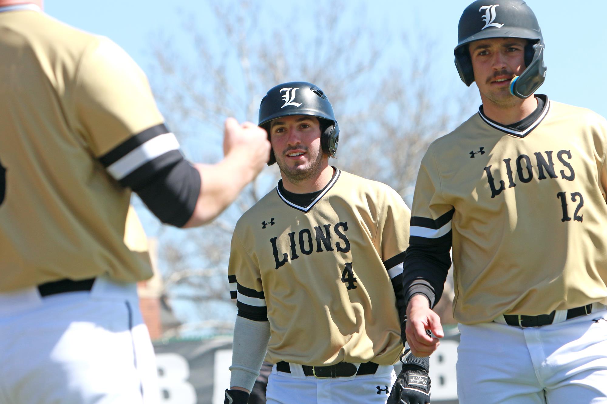 Michael Ward - Baseball - Lindenwood University Athletics