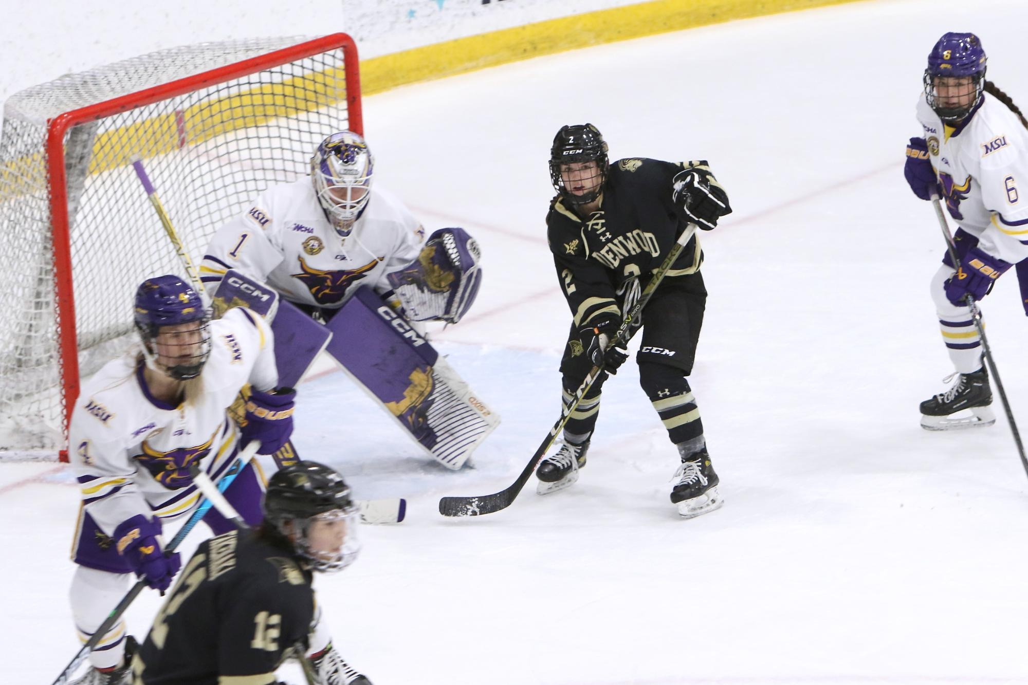 Rachel Goff - Women's Ice Hockey - Lindenwood University Athletics