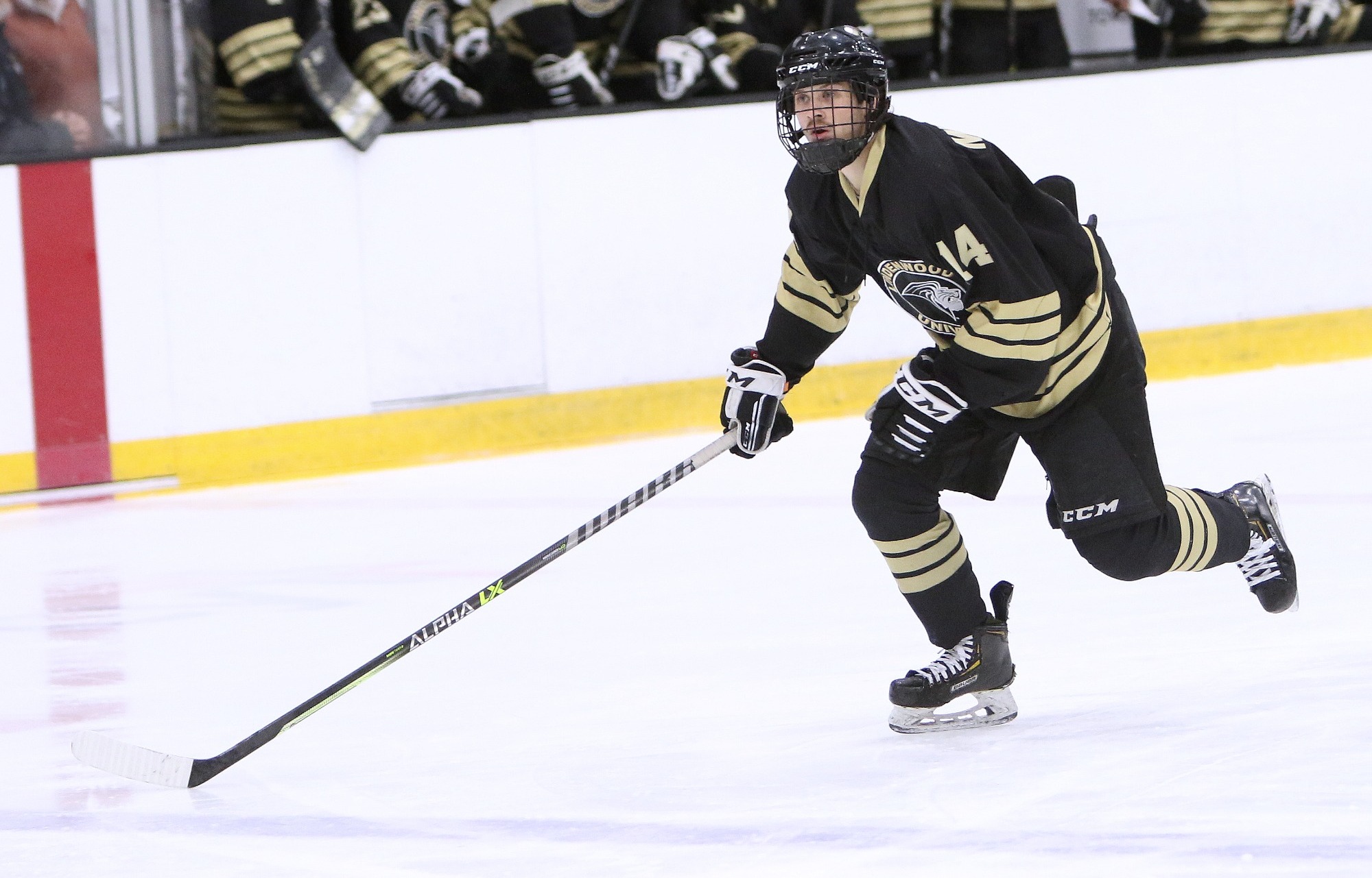 Tim Marchant - Men's Ice Hockey - ACHA DII - Lindenwood University ...