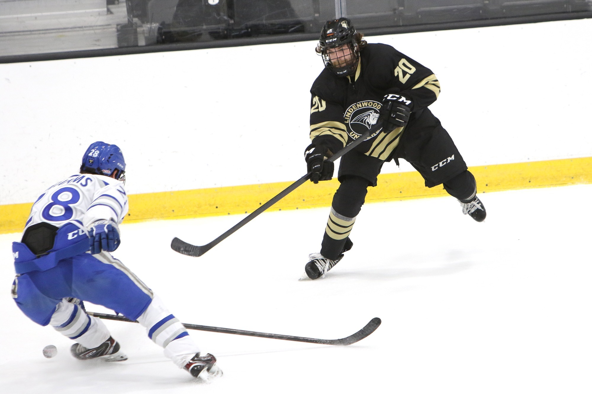 Stanley Lucas - Men's Ice Hockey - ACHA DII - Lindenwood University ...