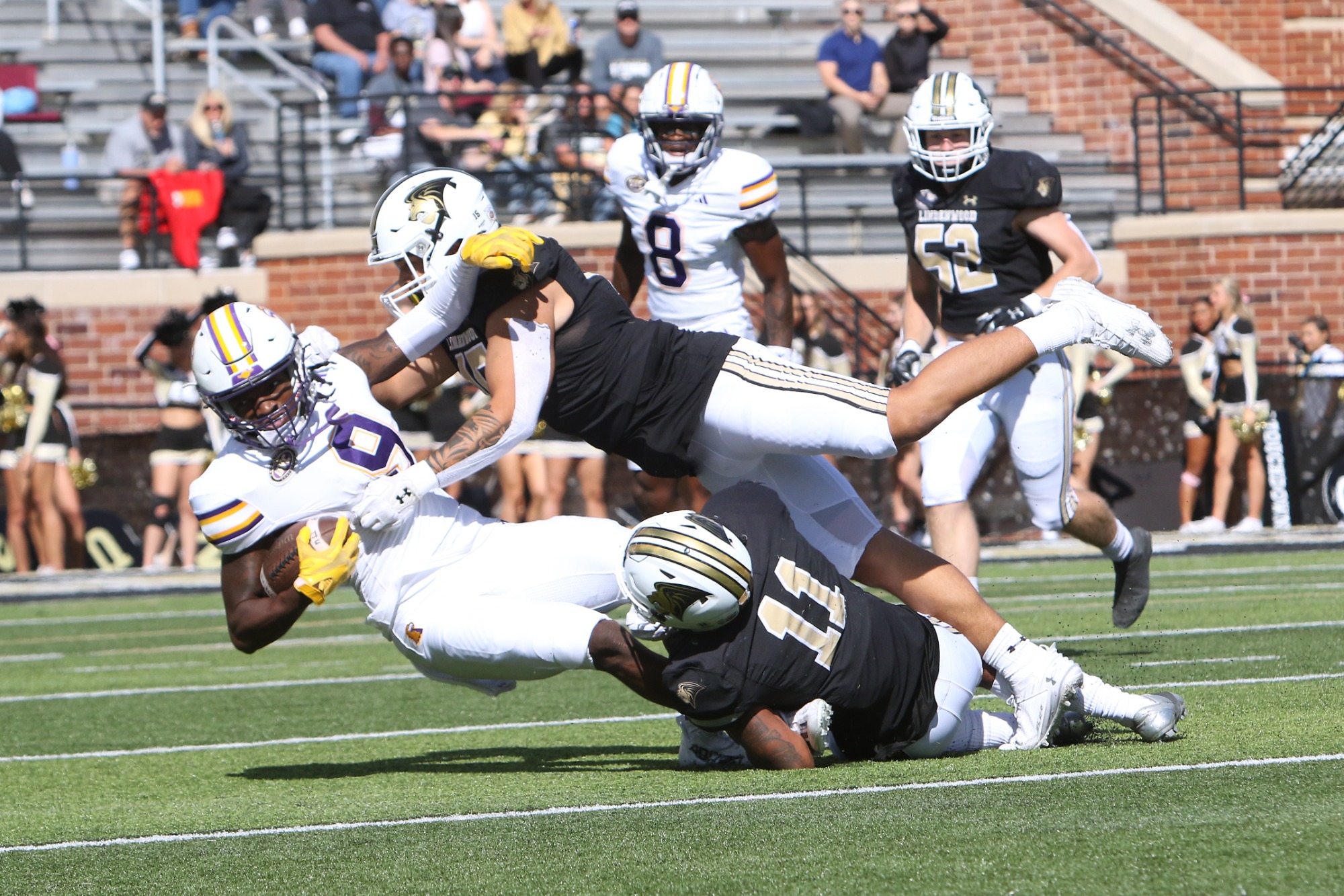 Sanjay Strickland - Football - Lindenwood University Athletics